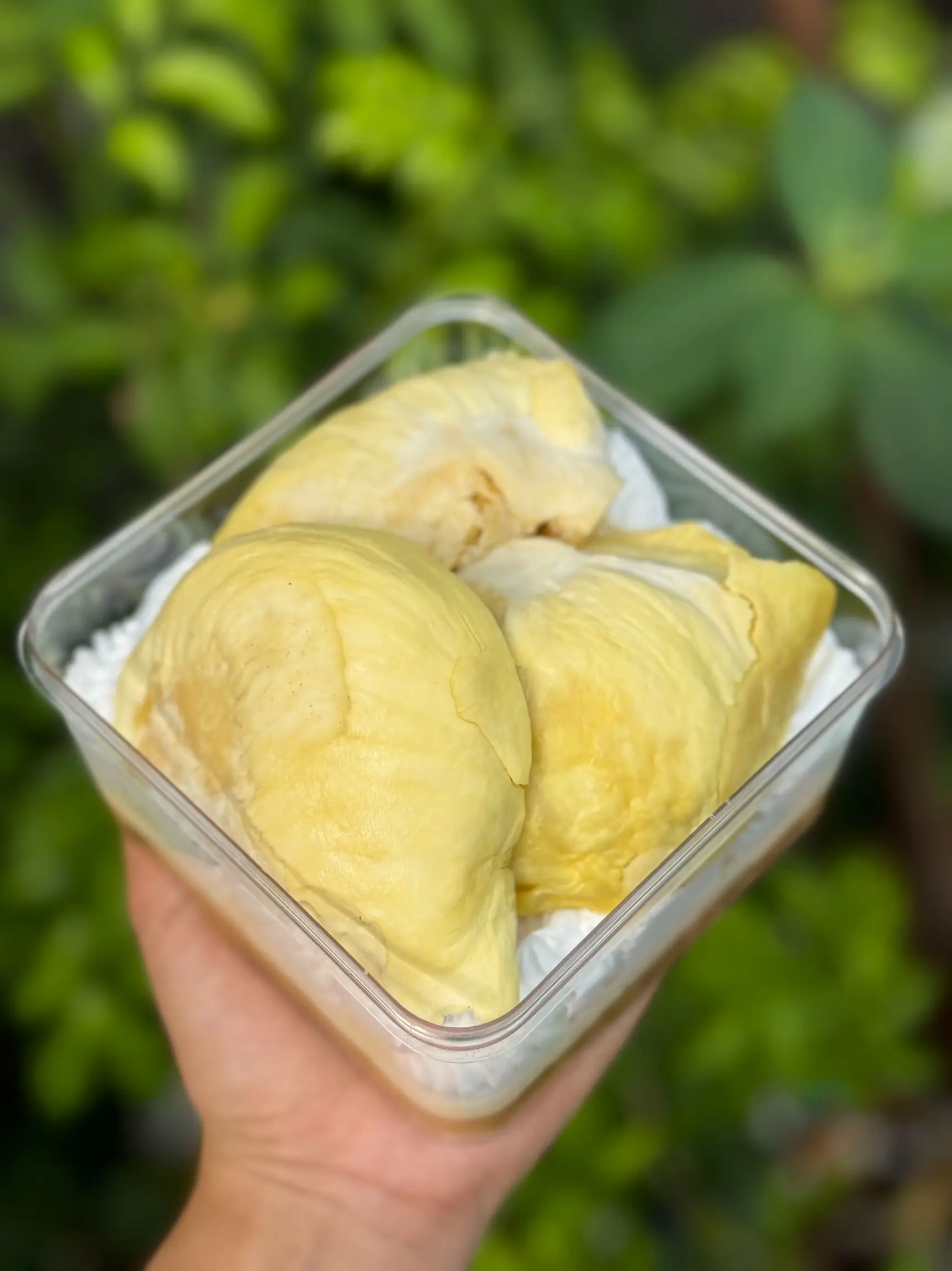 ชีสเค้กทุเรียนสักกล่องไหมคะ🥰 | แกลเลอรีที่โพสต์โดย Wanlaya Tanam | Lemon8