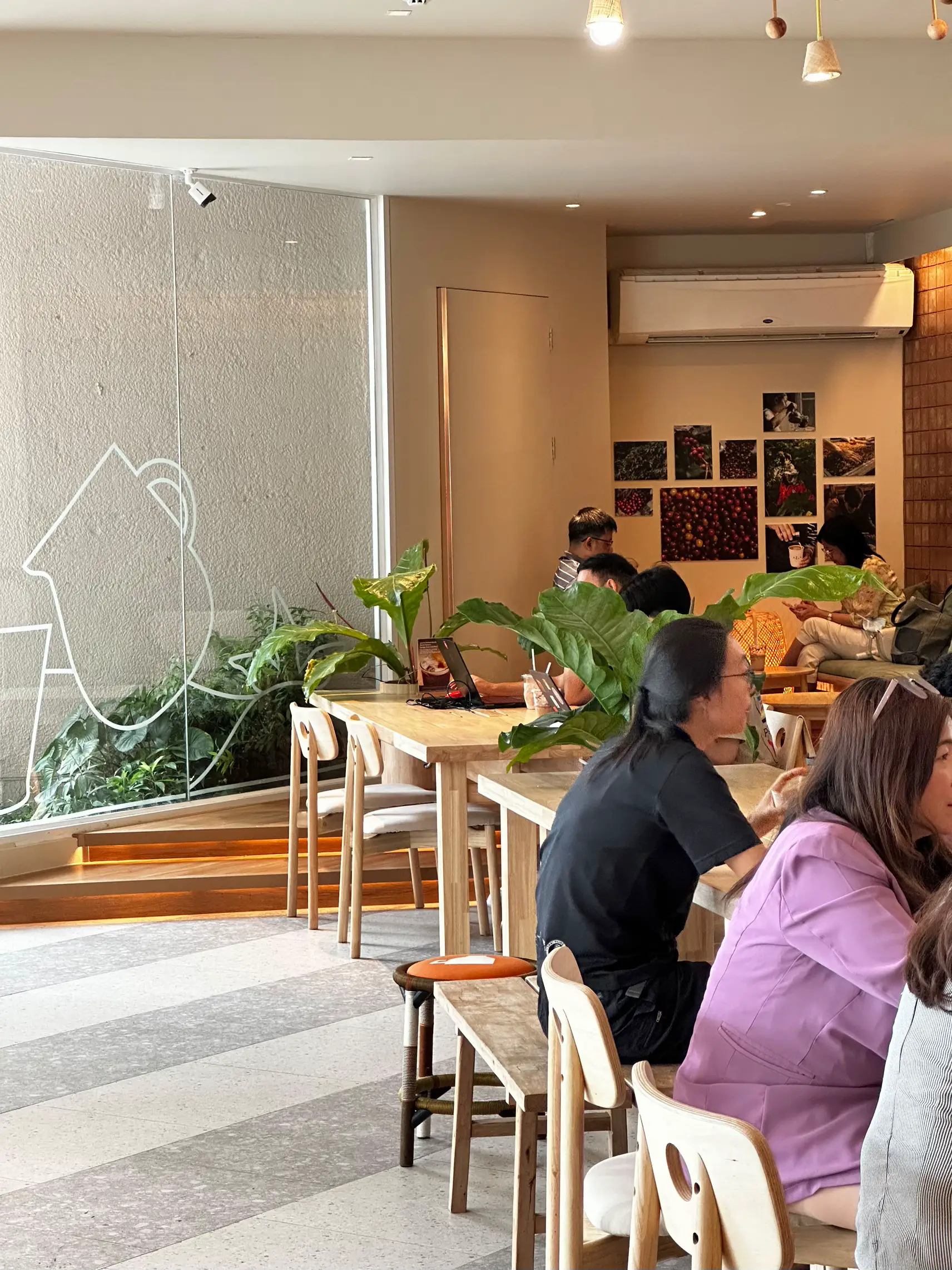 📍ROOTS สาขาใหม่ติดบีทีเอสราชเทวี ใต้โรงแรมเอเชีย ฟิลต่างประ | แกลเลอรี ...