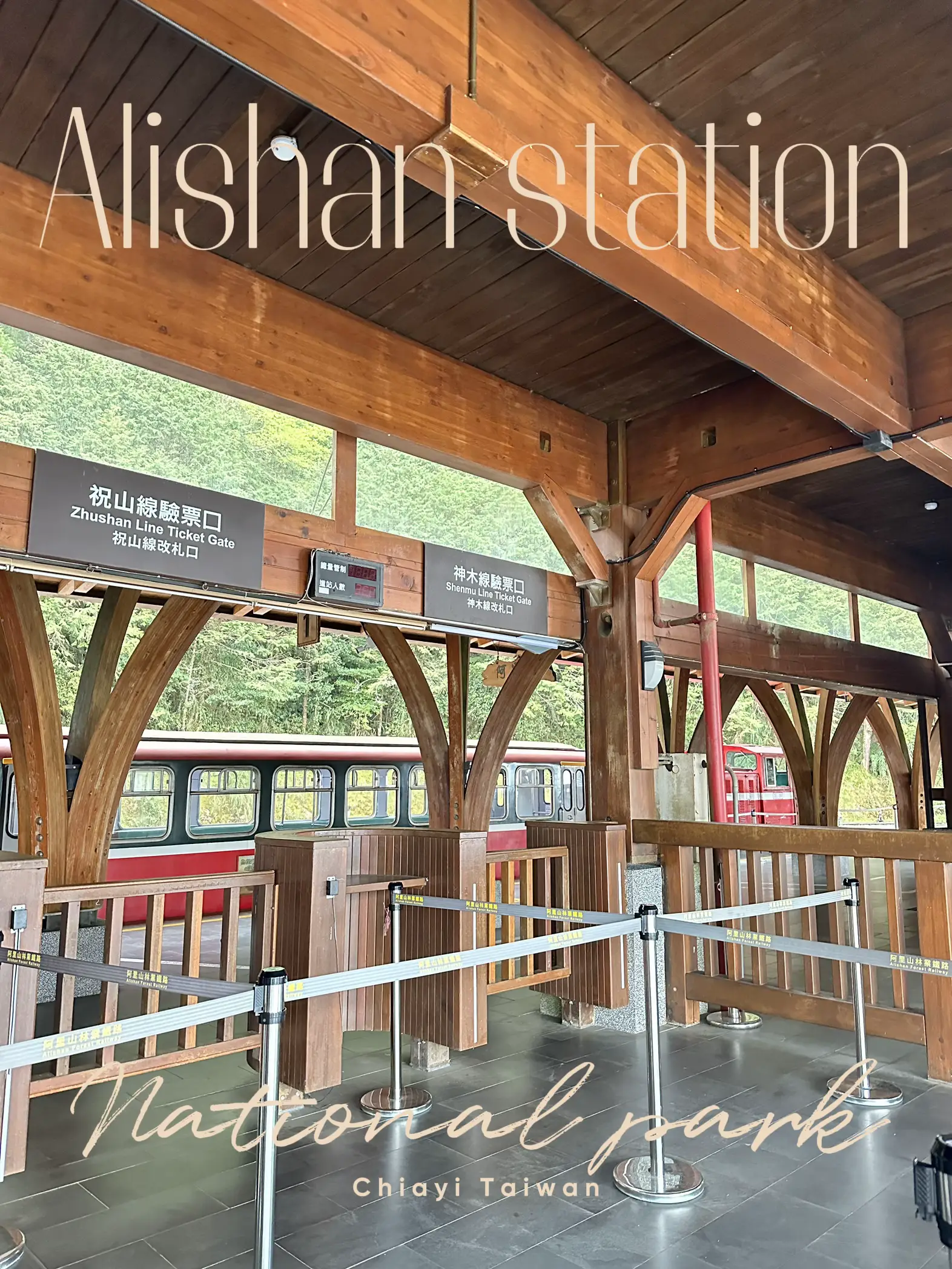 🇹🇼ต้องดูต้องไป Alishan station สถานีอาหลีซาน ไต้หวัน | แกลเลอรีที่โพสต์โดย ˚ ༘ Patperries🥯 | Lemon8