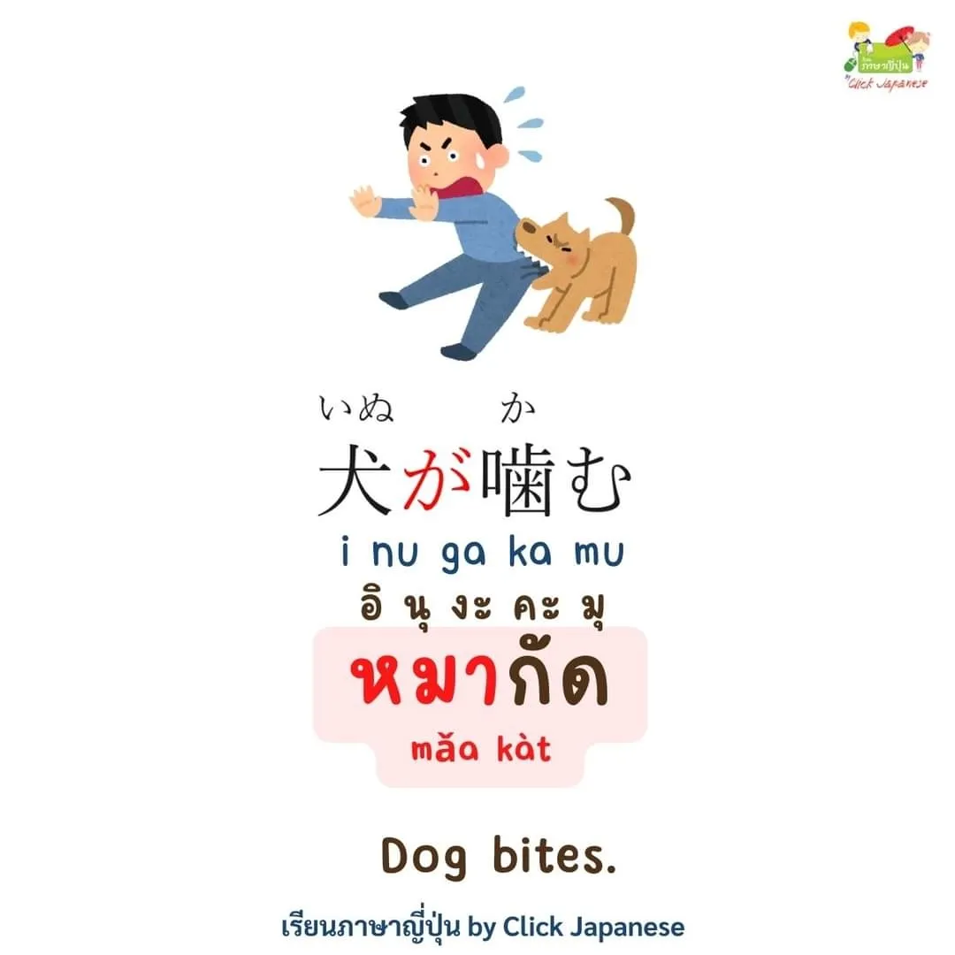 #เรียนภาษาญี่ปุ่น | แกลเลอรีที่โพสต์โดย Clickjapanese | Lemon8
