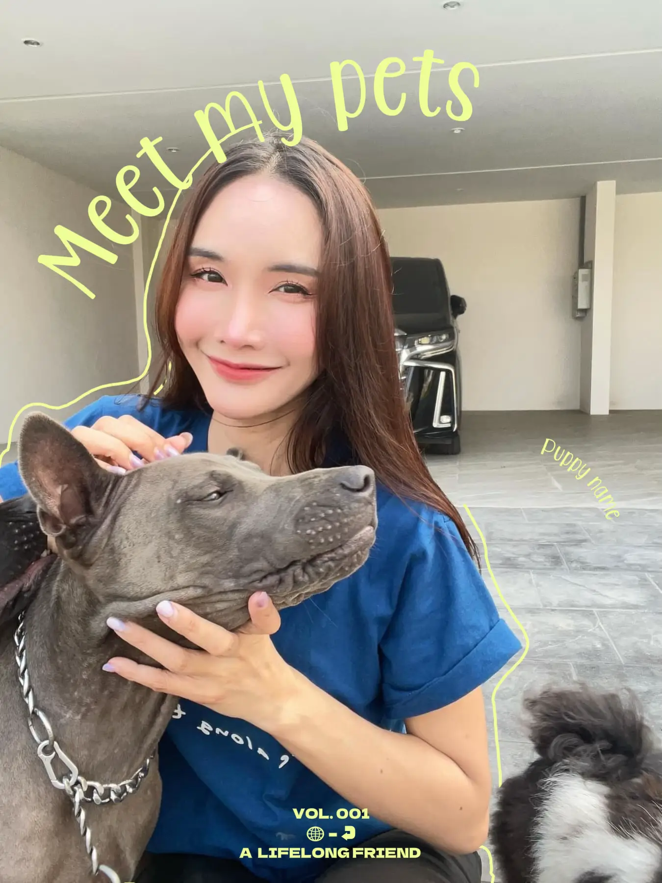 Meet my pets หมาไทยหลังอาน ไทยแท้ | แกลเลอรีที่โพสต์โดย แม่ก๊อตจิ | Lemon8
