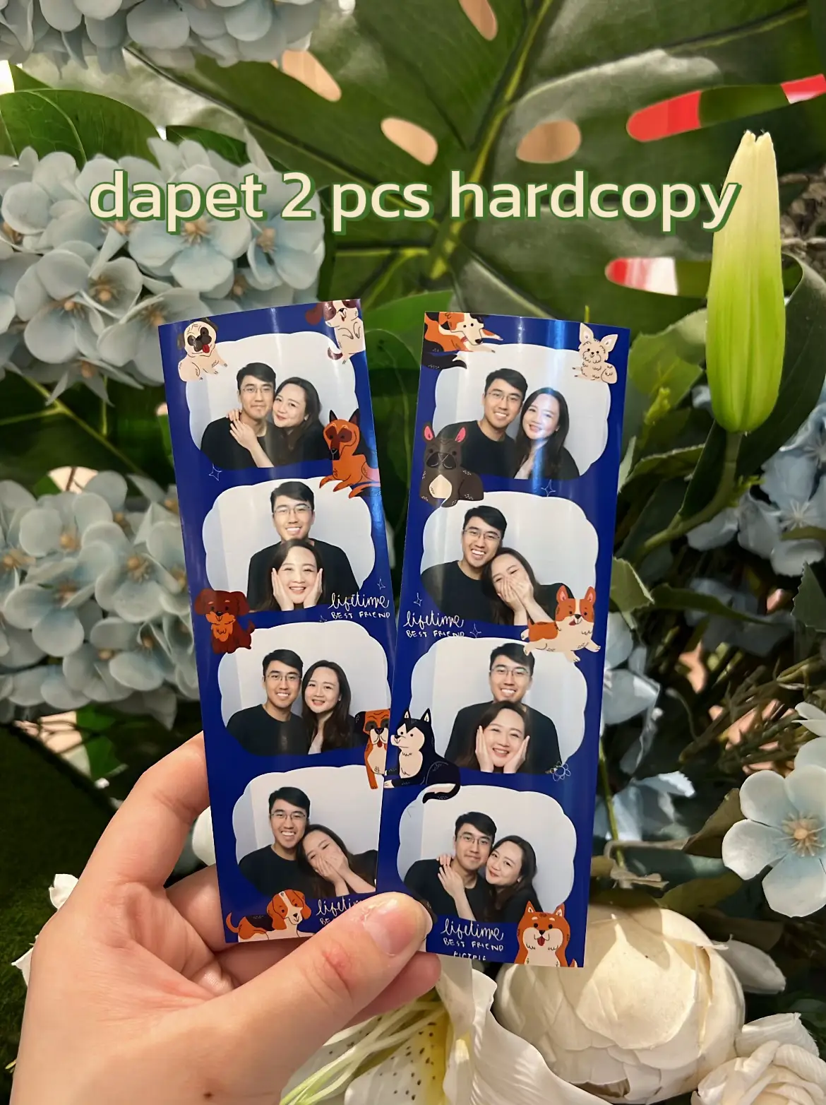 20 ide Photobox Pim 3 teratas di 2024