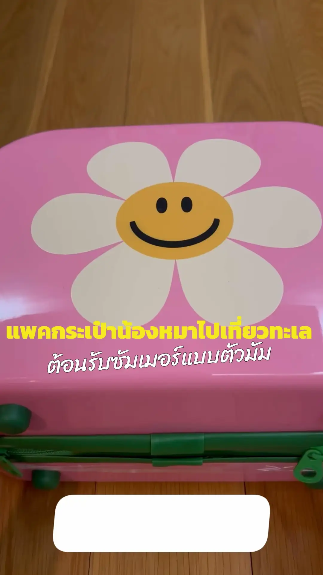 แพคกระเป๋าน้องหมาไปเที่ยวทะเลกัน 🧳🏖️ | วิดีโอที่เผยแพร่โดย หมาNami ...