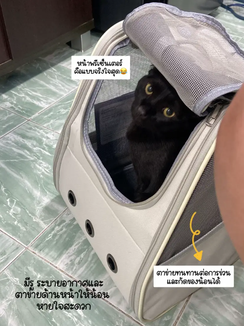 รีวิว กระเป๋าน้อนแมว | แกลเลอรีที่โพสต์โดย Jamm Prapanan | Lemon8