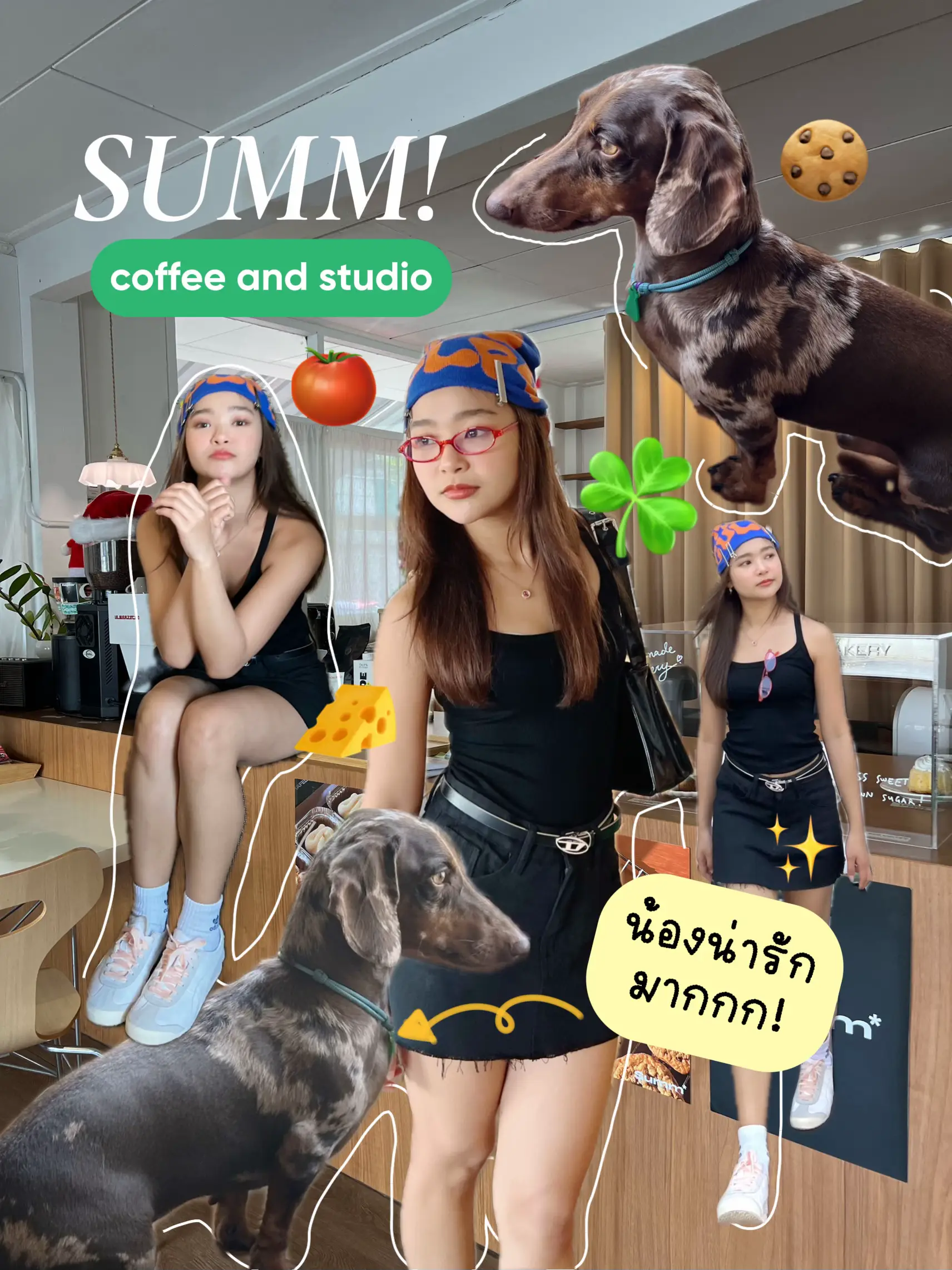 คาเฟ่น้องหมาดัชชุน 🐶 | SUMM Coffee & Studio ☘️ | แกลเลอรีที่โพสต์โดย isfaai | Lemon8