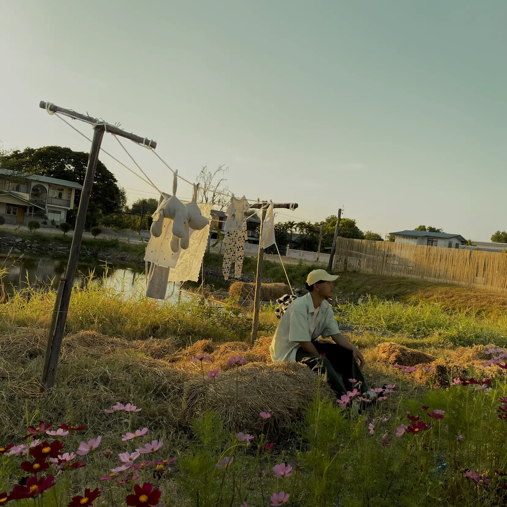 Faifo Forest • korat 🌸📸 #ไฟโฟ่ส่งท้ายซีซั่นสาม | แกลเลอรีที่โพสต์โดย เพจไปกับลุง | Lemon8