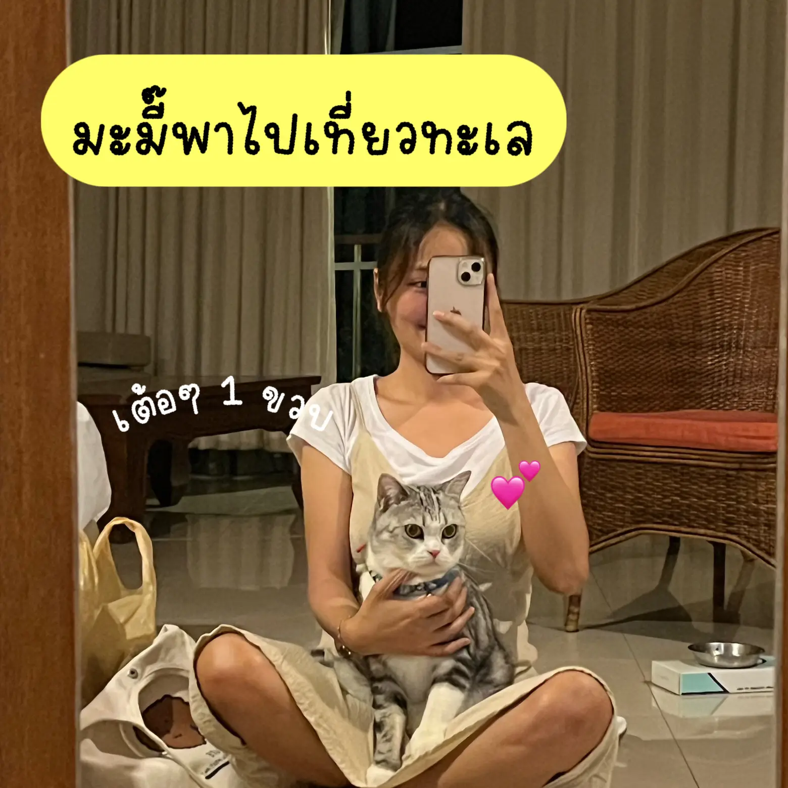 รีวิวน้องแมวตัวแรก 💕 | แกลเลอรีที่โพสต์โดย 𝙉𝙐𝙉𝙀 💖 | Lemon8