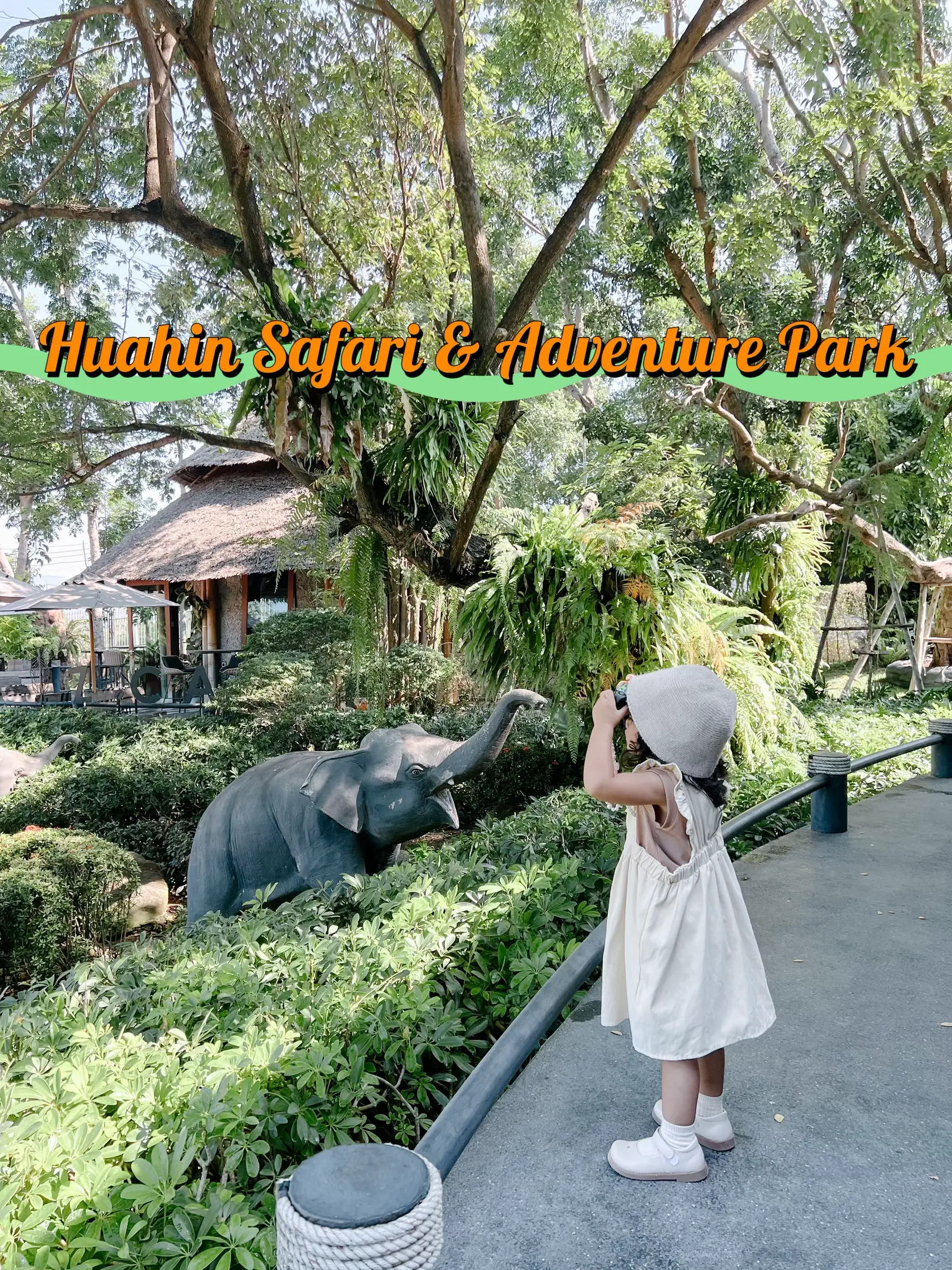 📍Huahin Safari & Adventure Park 🦓 | แกลเลอรีที่โพสต์โดย ᴷⁱᵐᴴᵘᵃʸ ♡︎ | Lemon8