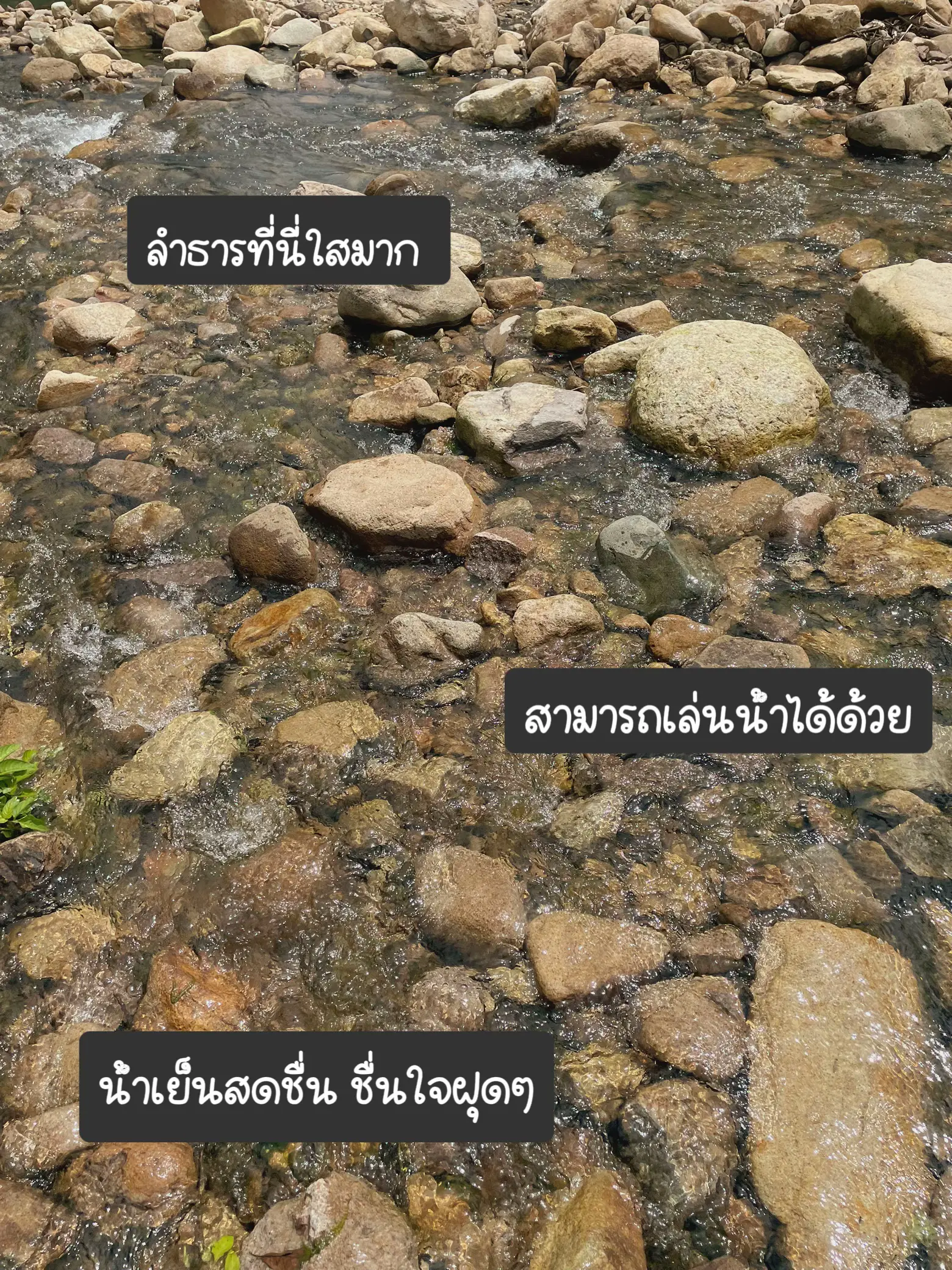 Na-wana ณ วนา | Gallery posted by Panchanok | Lemon8