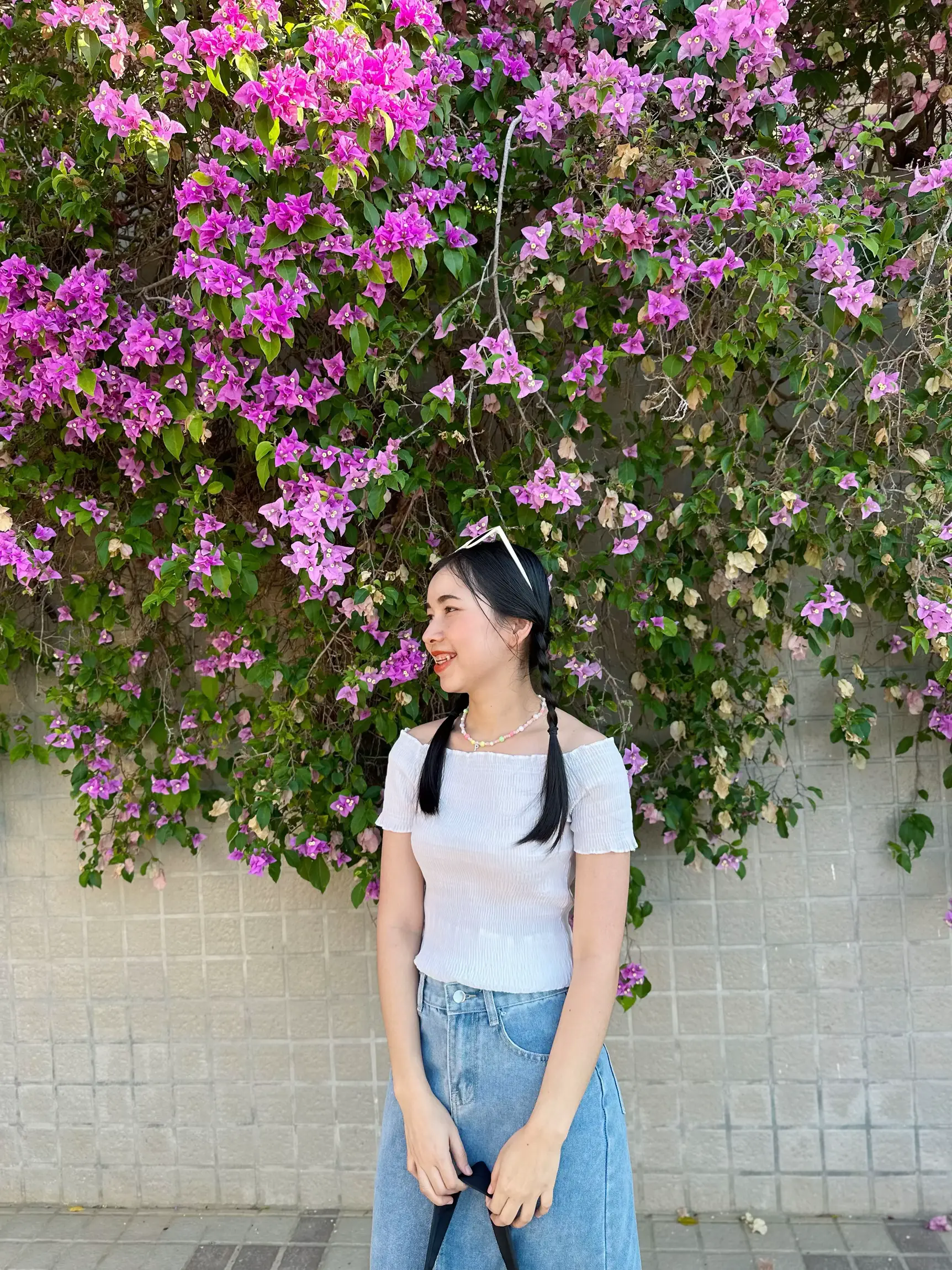 พิกัดที่ถ่ายรูปกับดอกเฟื่องฟ้า | แกลเลอรีที่โพสต์โดย Lukpat🤍 | Lemon8