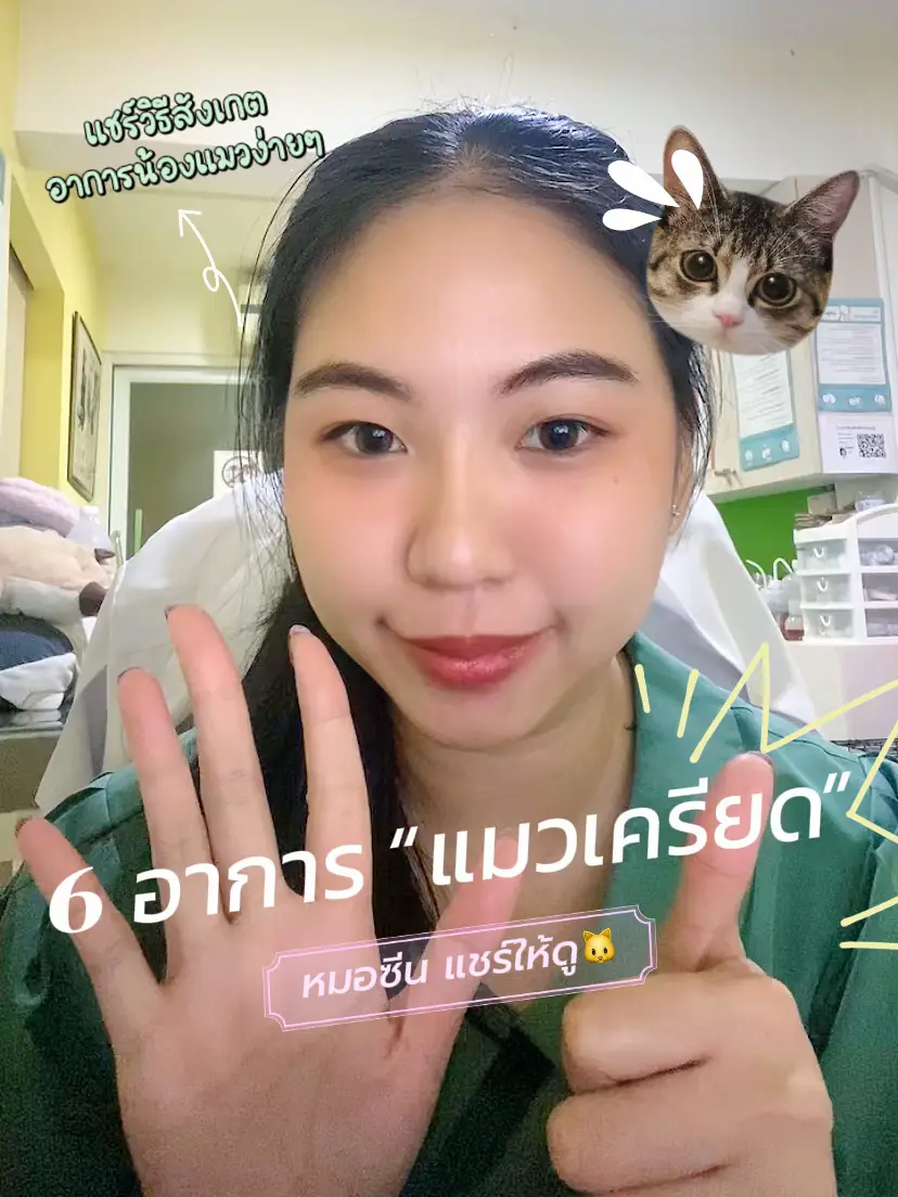 วิธี ดู ว่า แมว มีความสุข จาก หาง 2025 ประสบการณ์ผู้ใช้จริงบน Lemon8