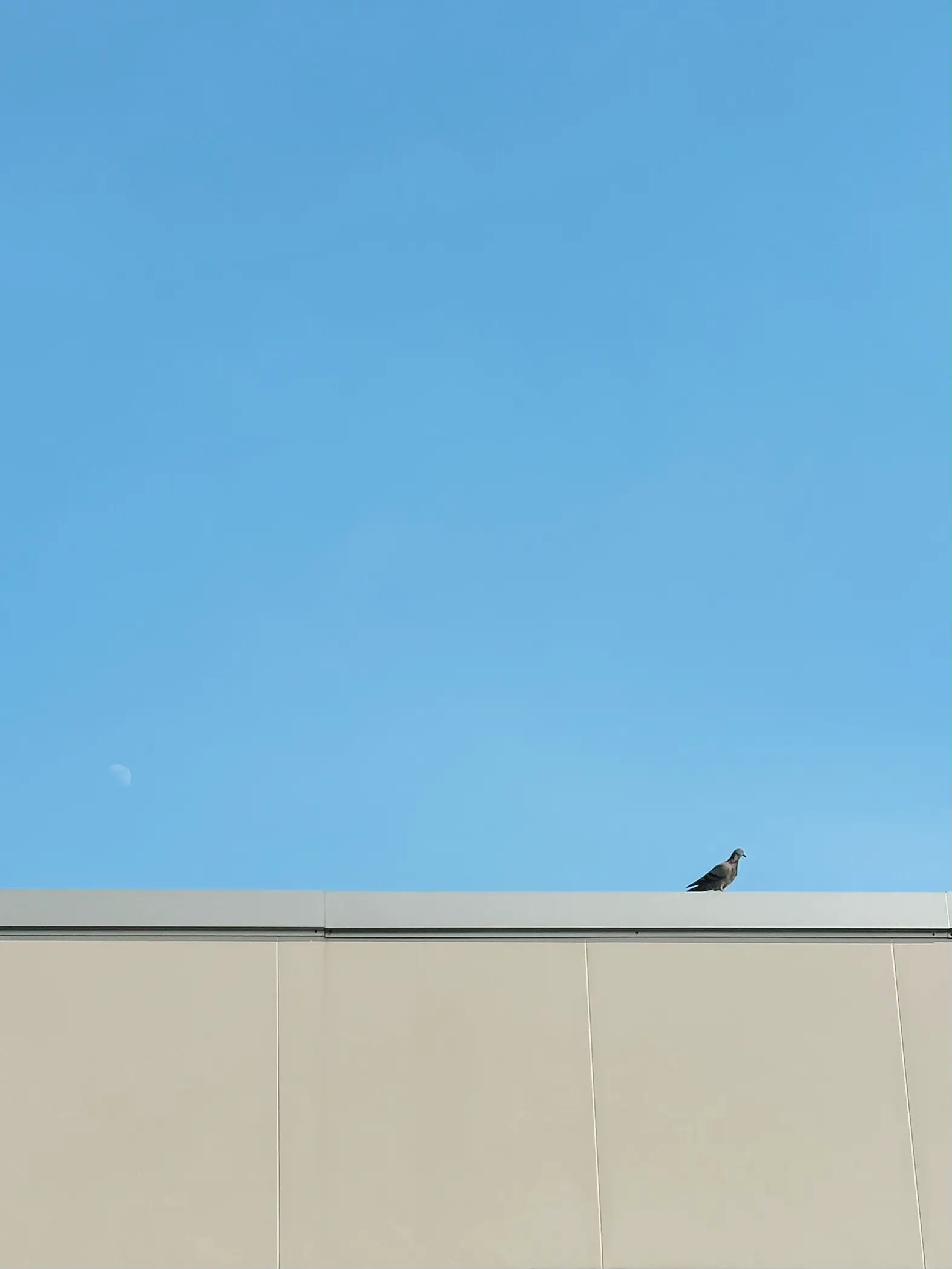 sky backgrounds - การค้นหาใน Lemon8