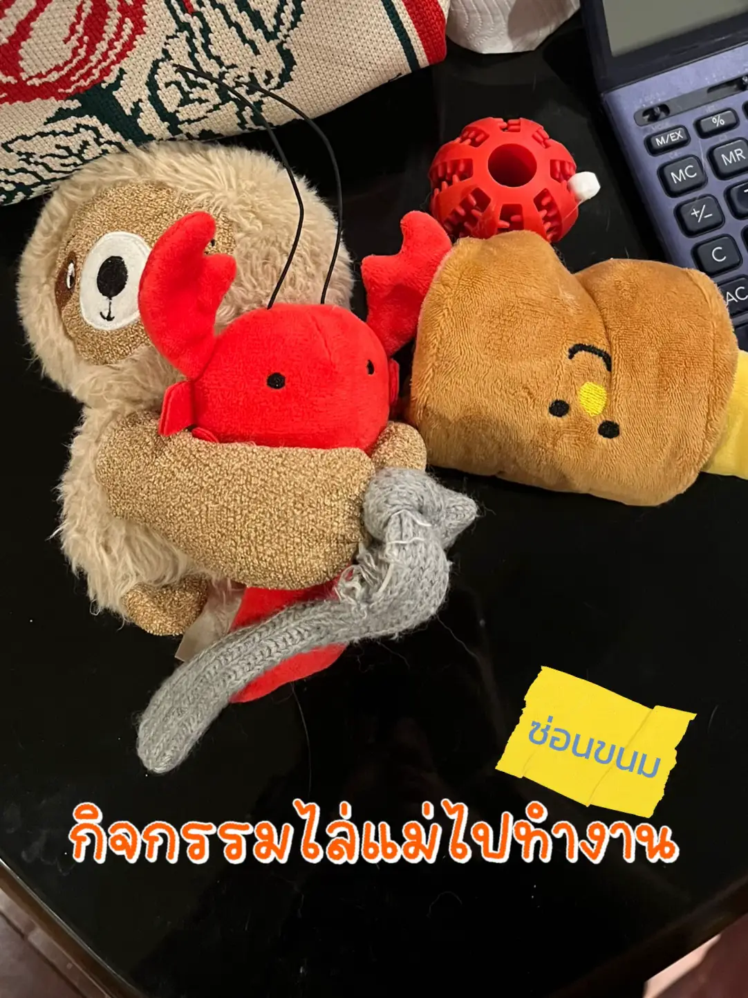 1 วัน ของน้องปอม #homealone | แกลเลอรีที่โพสต์โดย Moobin Cuddle | Lemon8