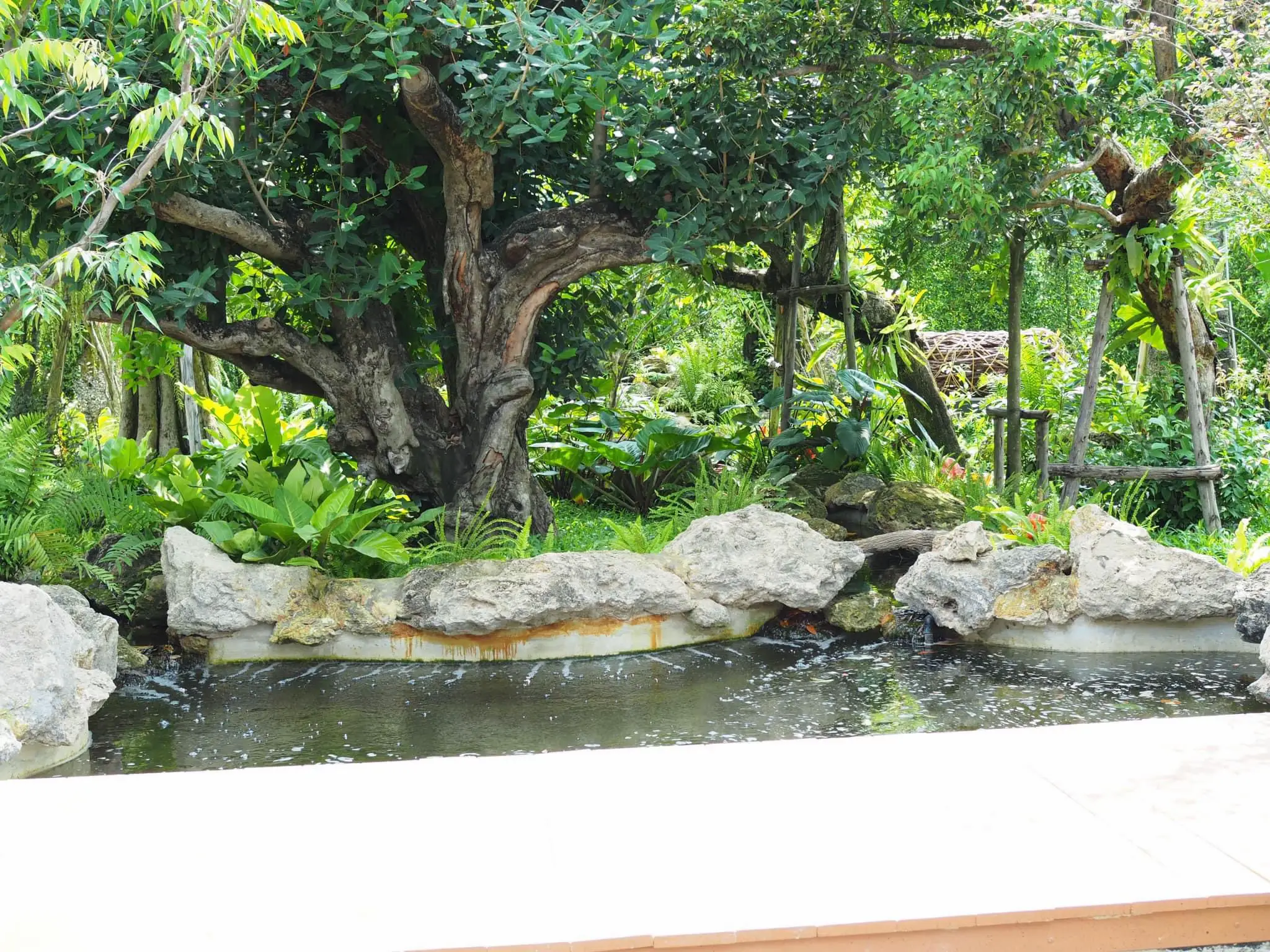 ครัวฟินิกซ์ คาเฟ่ เกะจันทร์ ชลบุรี | แกลเลอรีที่โพสต์โดย Nam Nuchjaree | Lemon8