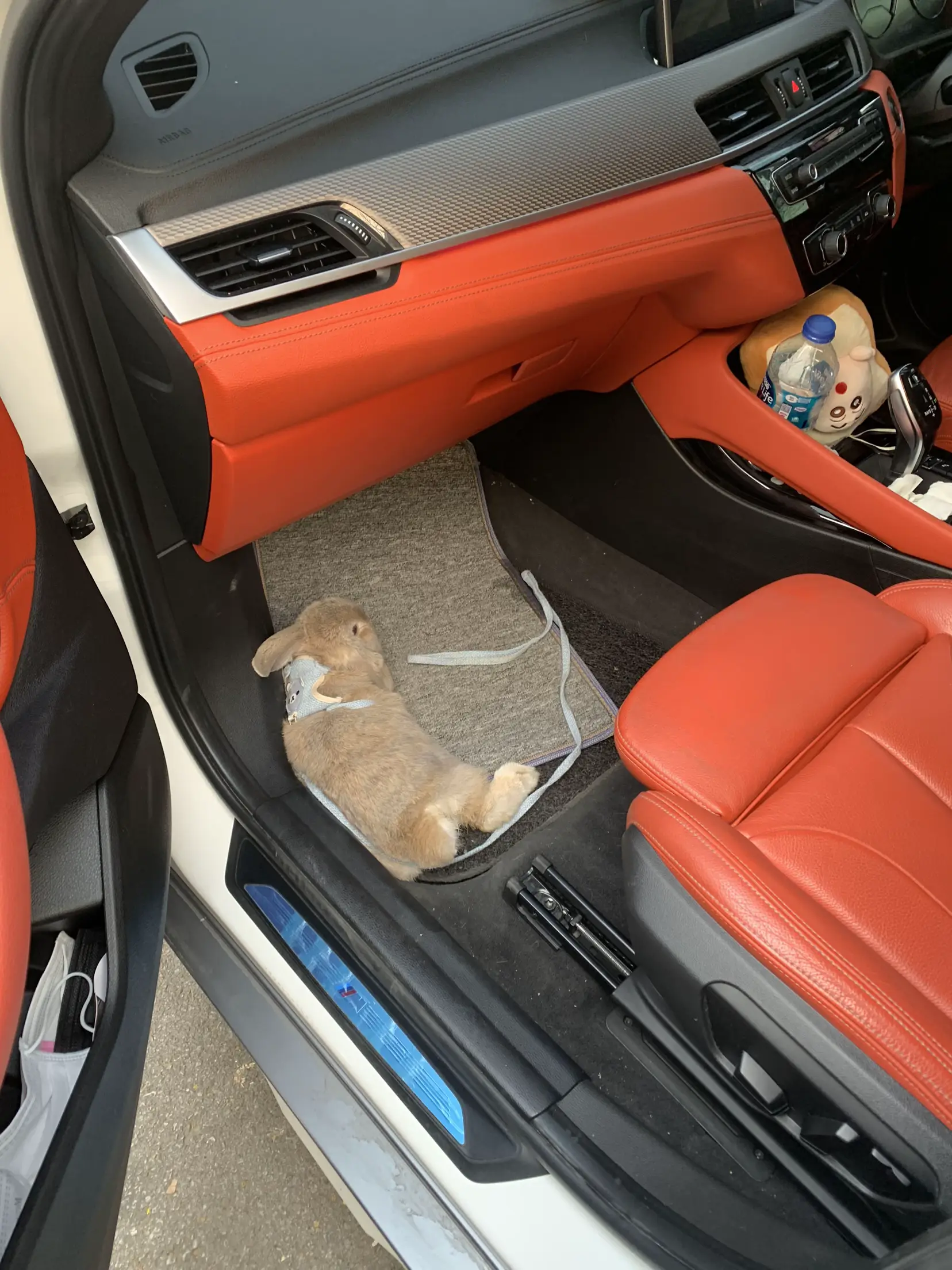 JUDY. มึนสุดๆ | แกลเลอรีที่โพสต์โดย KWANJI | Lemon8