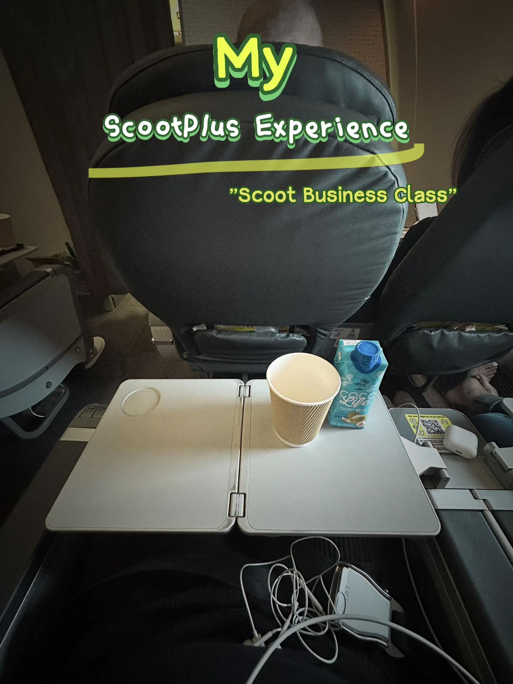 My ScootPlus "Scoot's Business Class" review | Gallery posted by Ethan ...