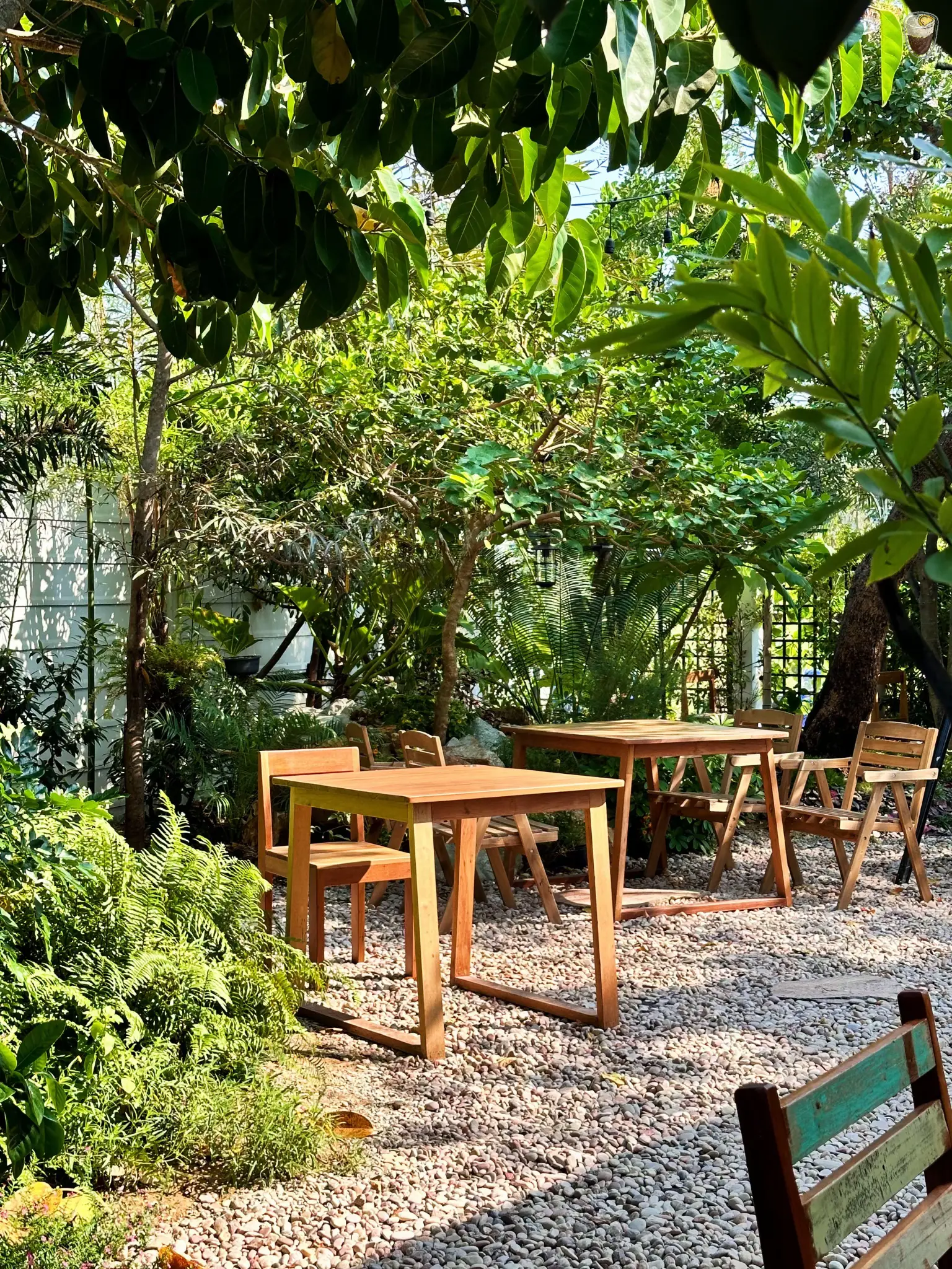 Open Warp Secret Cafe. Reopen!!!Some hundred thousand light, beautiful ...