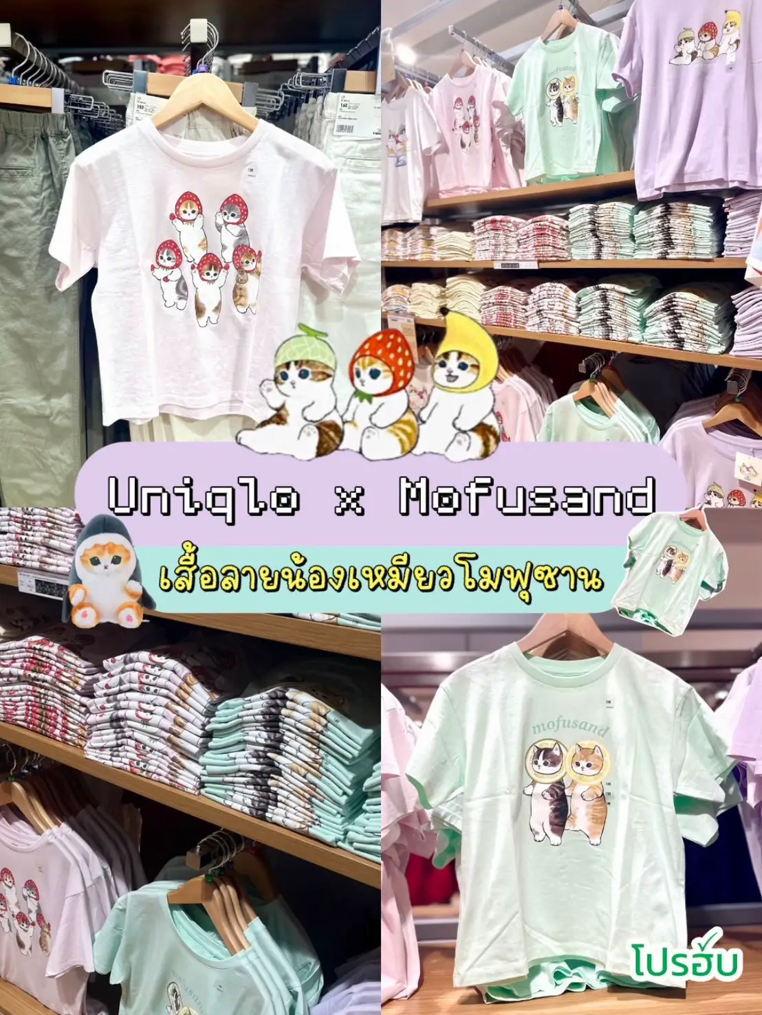 Nong Meow Slave Come Thatched Fast Uniqlo x Mofusan 🐱 | Gallery posted ...