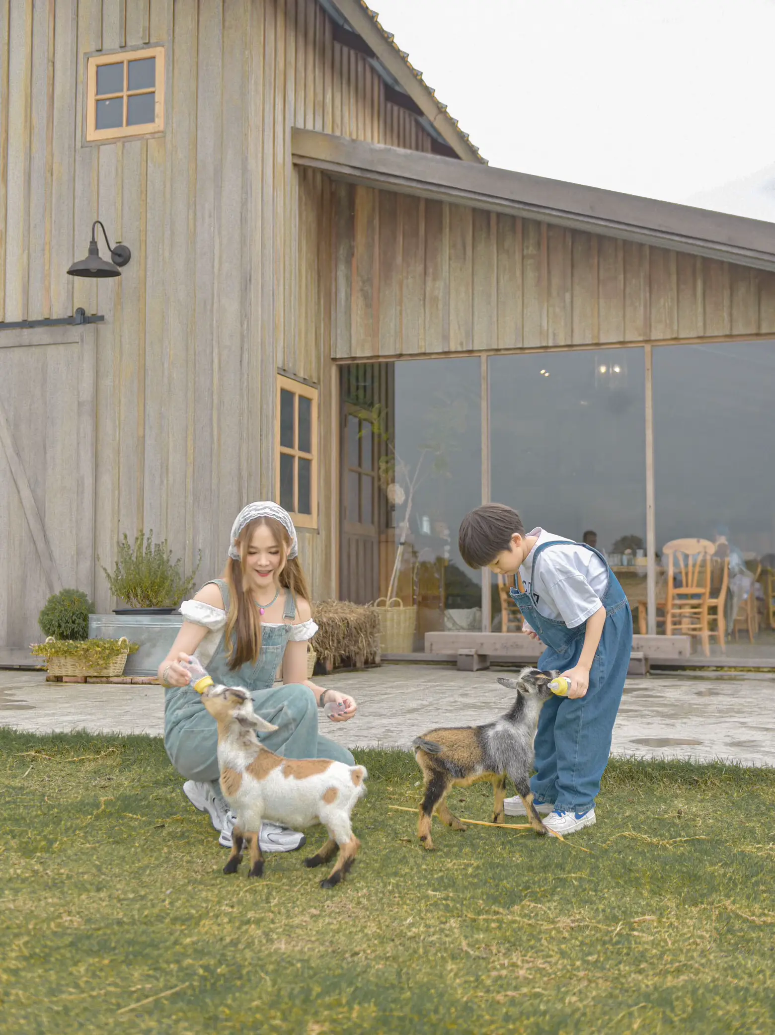 20 ไอเดียยอดนิยมเกี่ยวกับ The Treat Farm Hotel ในปี 2024