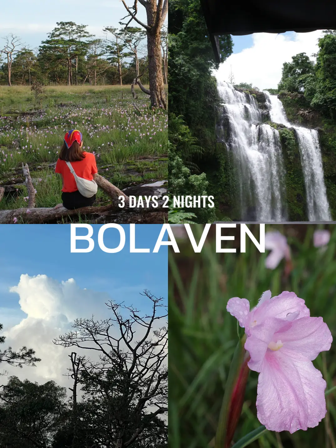 เดินป่าน่าฝนชิวๆที่โบลาเวน ลาวใต้ 🪻🚿 | แกลเลอรีที่โพสต์โดย HAHAMAHMEANN ...