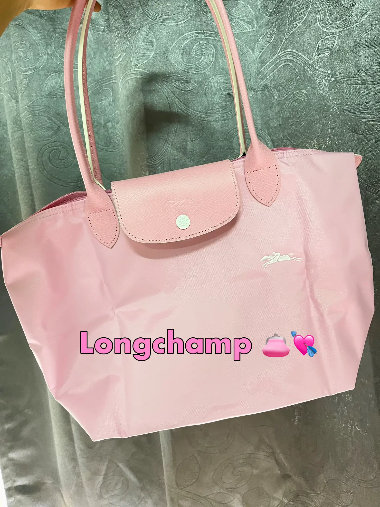My Pink Longchamp ๐๐๐ฉท Gallery Posted By Parinton Gomod Lemon8