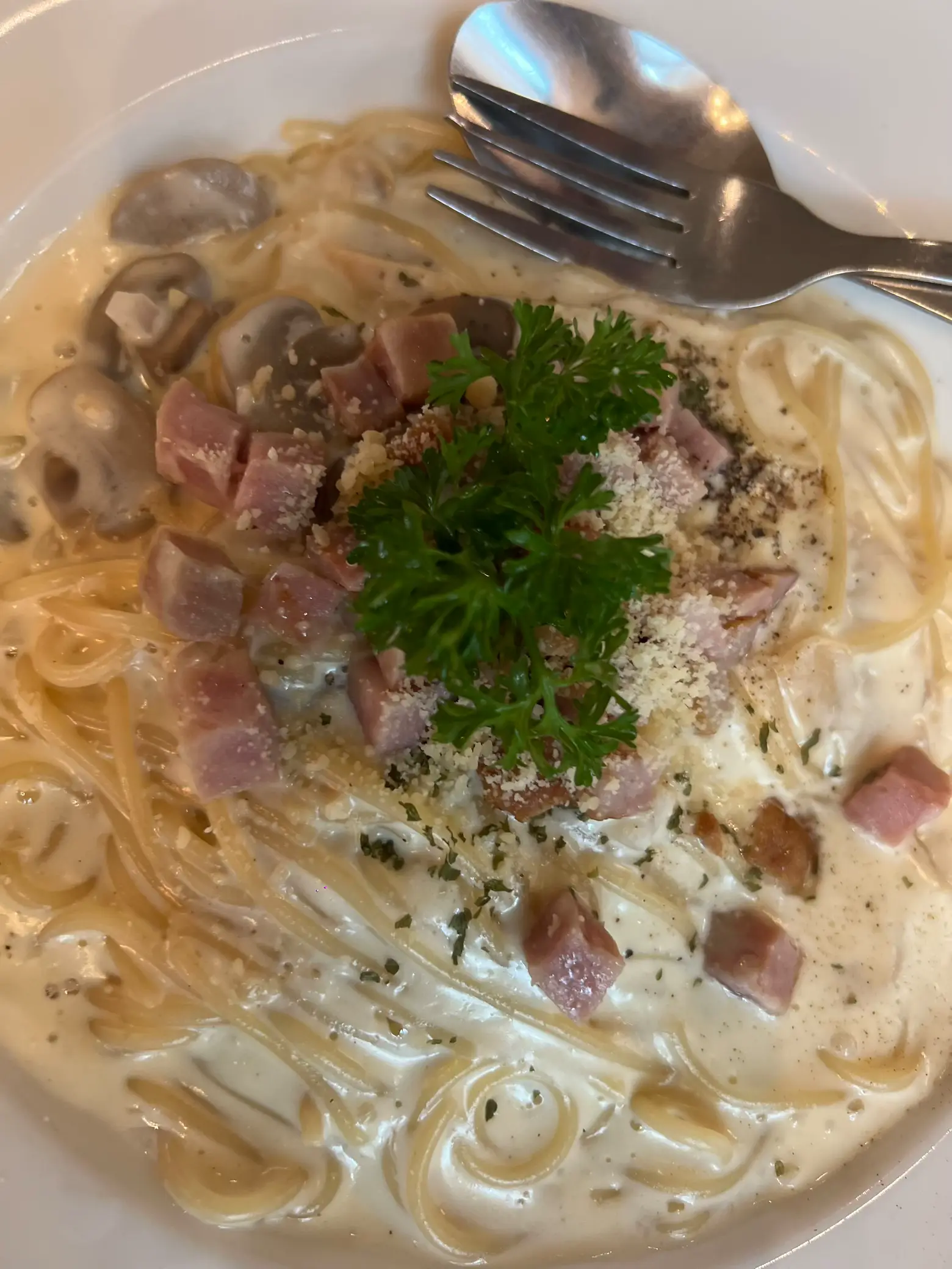 Cafe Laura Bar & Restaurant | แกลเลอรีที่โพสต์โดย I.U | Lemon8