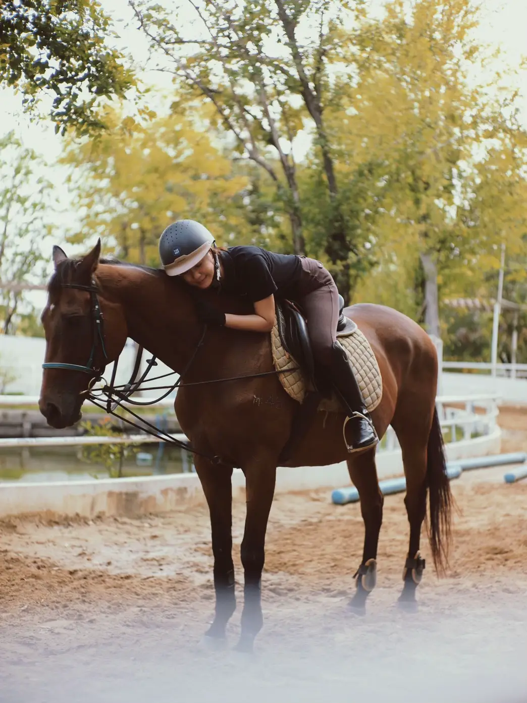 เรียนขี่ม้าสนามเป้า - การค้นหาใน Lemon8