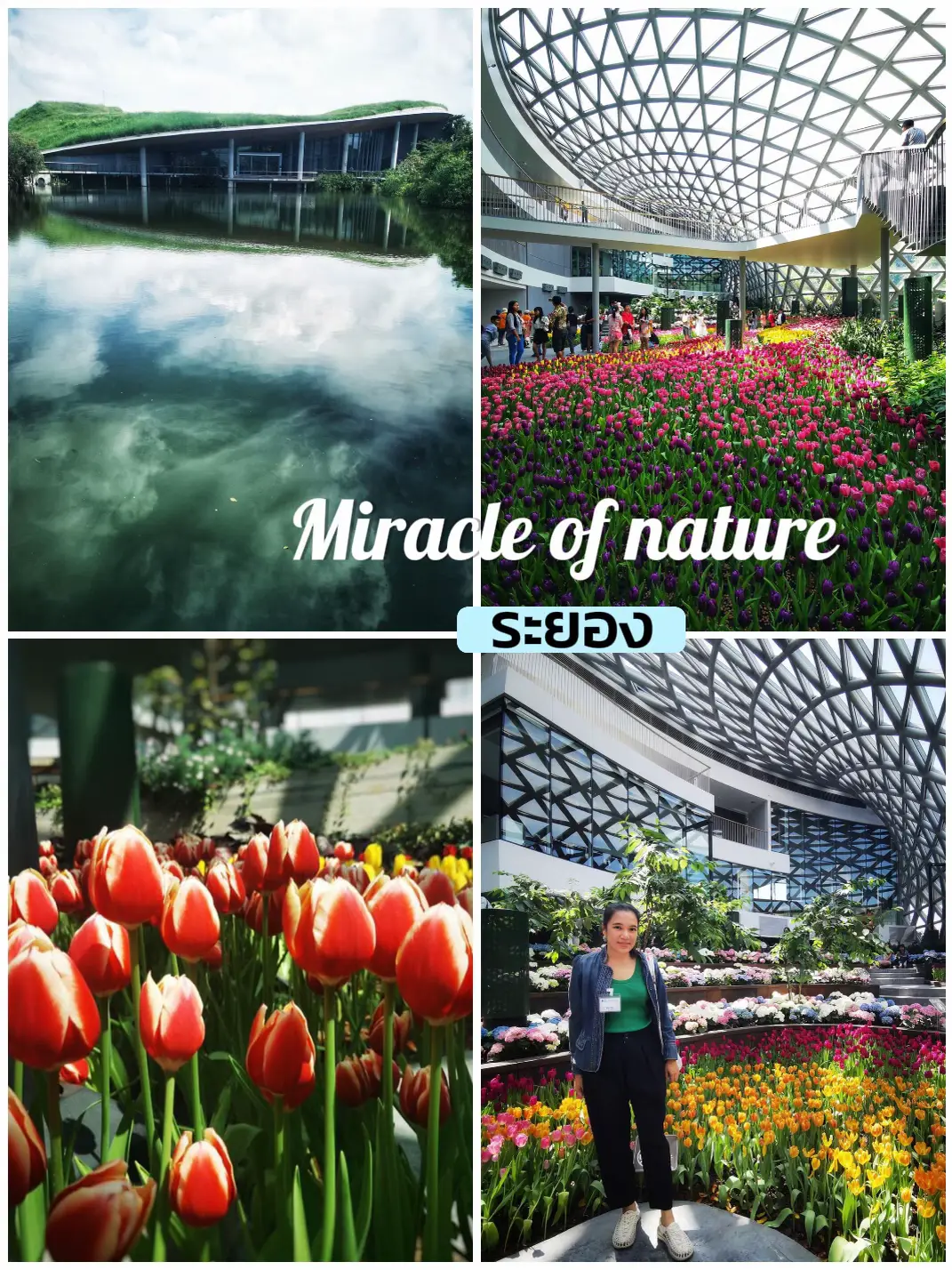 เที่ยวระยอง 2วัน 1คืน | แกลเลอรีที่โพสต์โดย Ratchaya K. | Lemon8