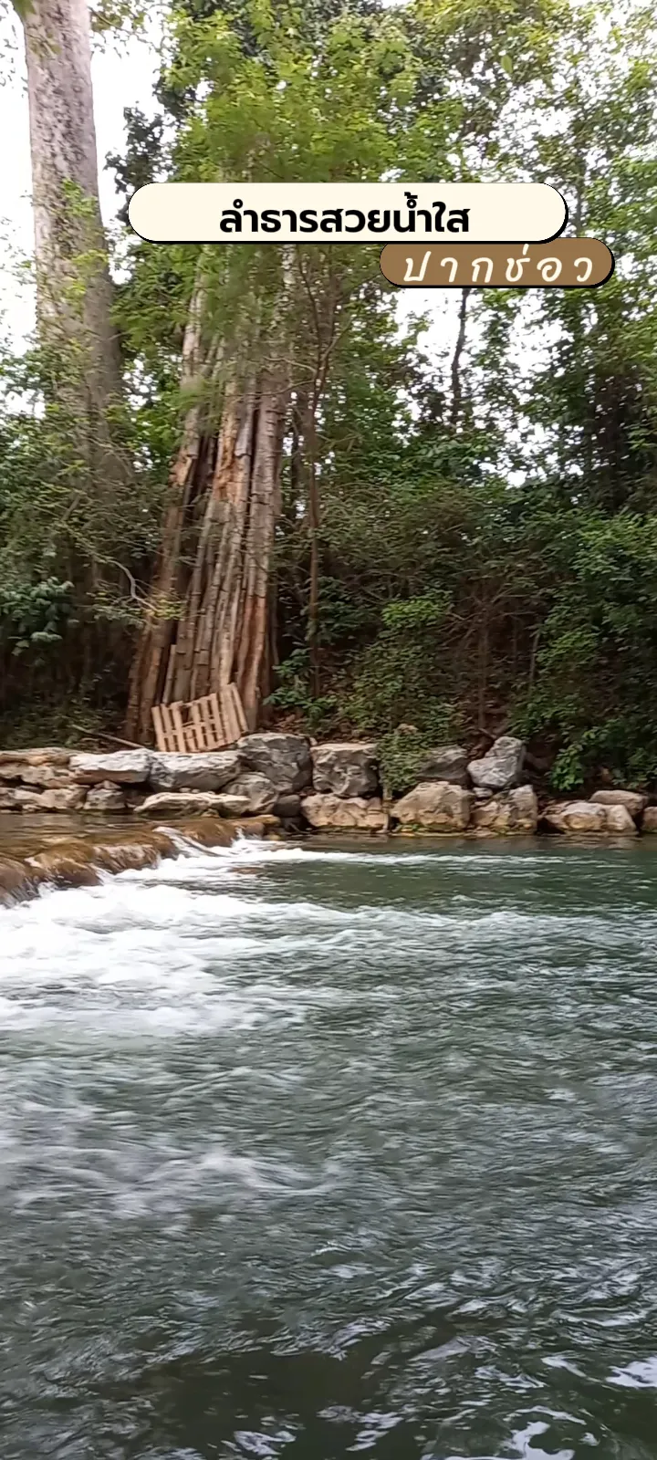 ลำธารสวยน้ำใส | วิดีโอที่เผยแพร่โดย Chanthorn Wan | Lemon8