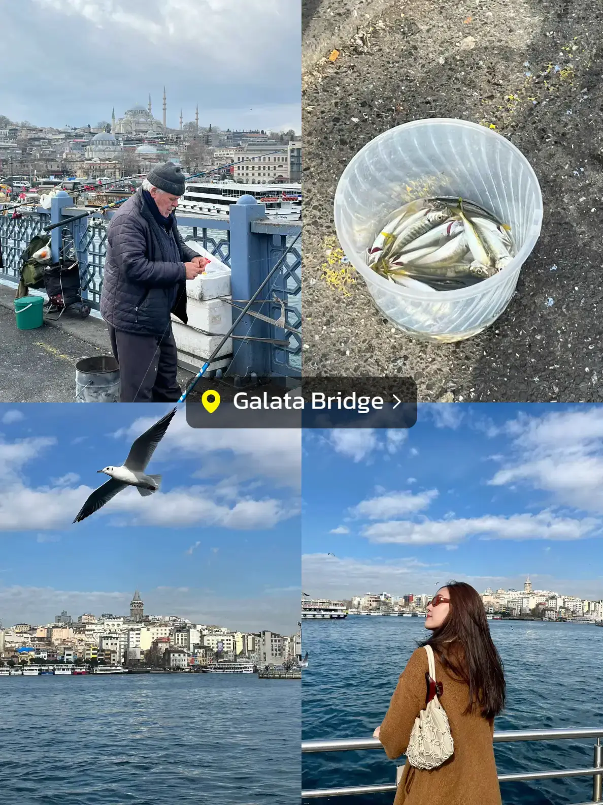 Egyptian landmarks - การค้นหาใน Lemon8