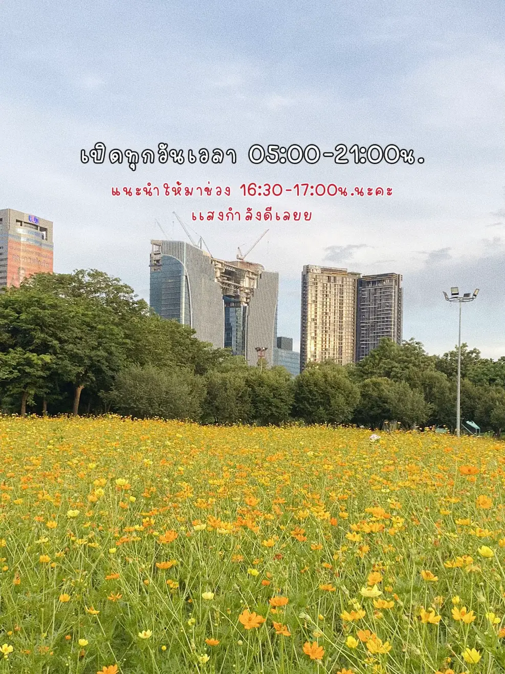 ONE DAY TRIP | สวนรถไฟ (สวนวชิรเบญจทัศ)🌳🍃🌼🌤️🚲💕 | แกลเลอรีที่โพสต์โดย Nuk Nuknik | Lemon8