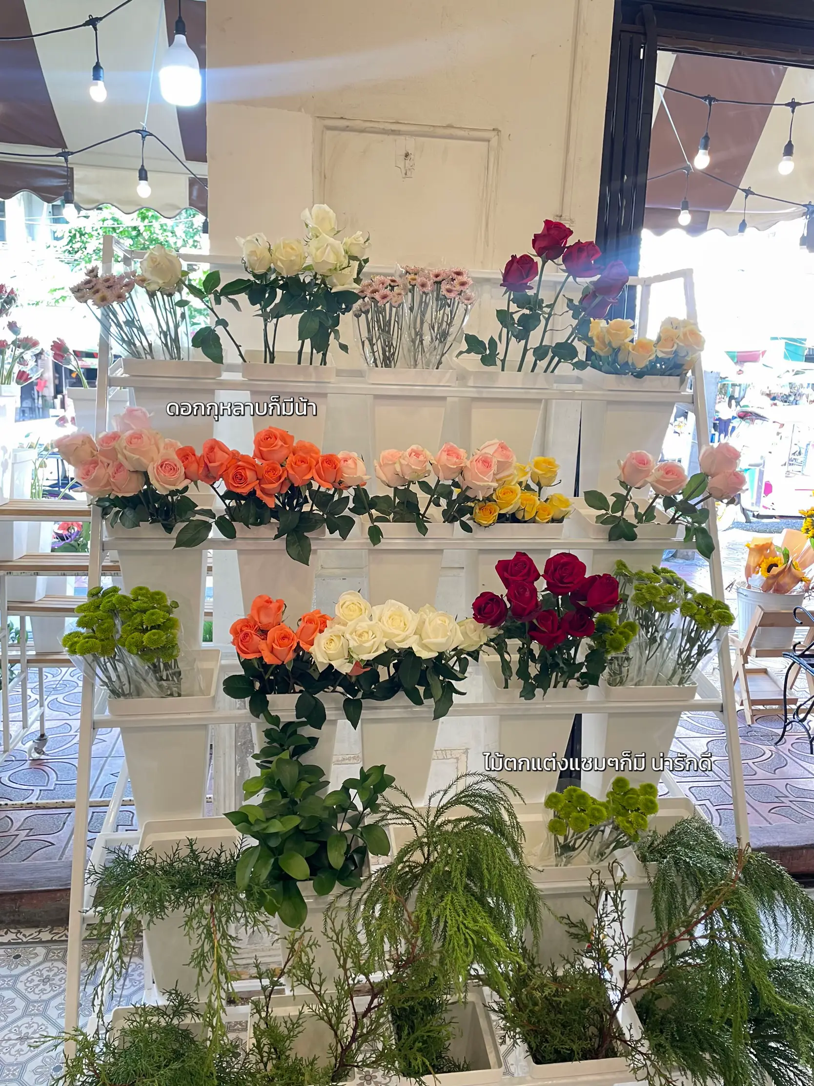 ร้านดอกไม้ปากคลองตลาด “ All flora “ 🌷 | แกลเลอรีที่โพสต์โดย minnie.qs 🍀 ...
