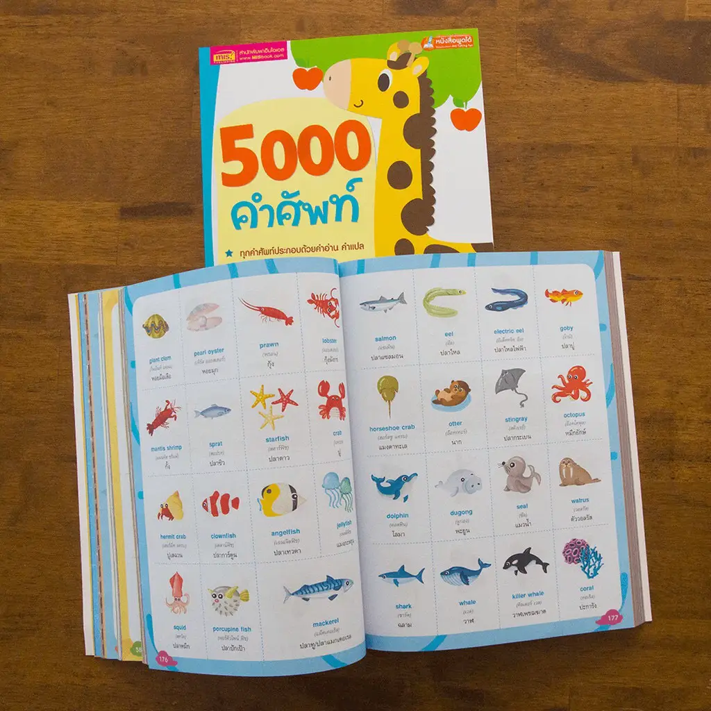 คําศัพท์ภาษาอังกฤษa1-C2 พร้อมแปล - การค้นหาใน Lemon8