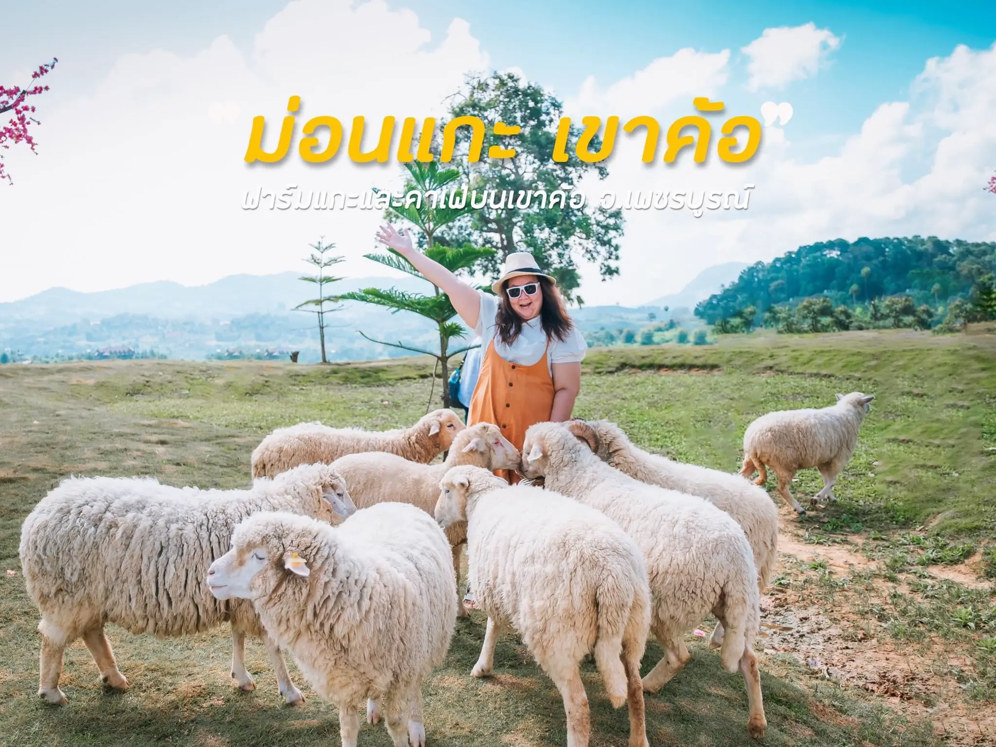 🪴🐑 "Monk sheep, he..." then go!!! 🐑🪴 | Gallery posted by MooYui_Travel ...