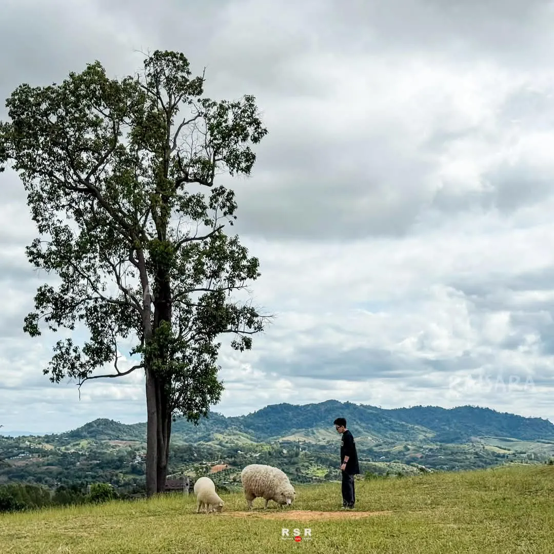 ม่อนแกะ เขาค้อ | แกลเลอรีที่โพสต์โดย RAISARA STYLE | Lemon8