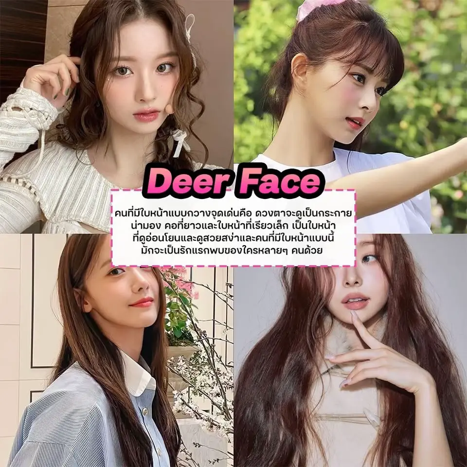 🧐 พาเช็ค Animal Face Type เทรนด์ที่กำลังมาในเกาหลี | แกลเลอรีที่โพสต์โดย Proxumer | Lemon8