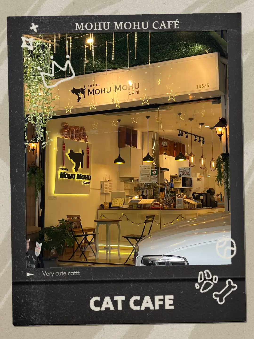 Review | mohu mohu café 🐈 | แกลเลอรีที่โพสต์โดย eraceracmai | Lemon8