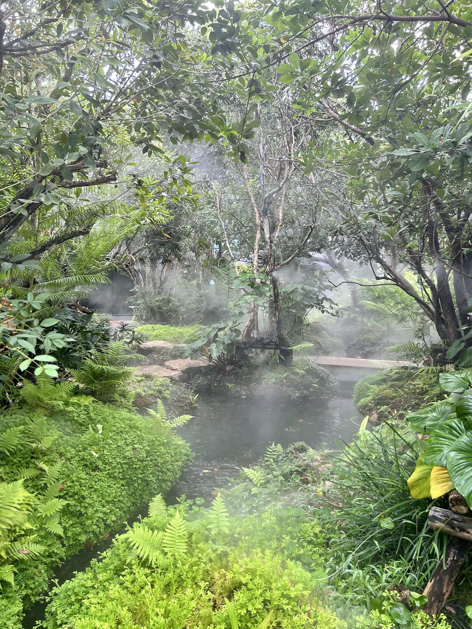 Aomkod cafe’ อัมพวา | แกลเลอรีที่โพสต์โดย Anfield💚Amp | Lemon8