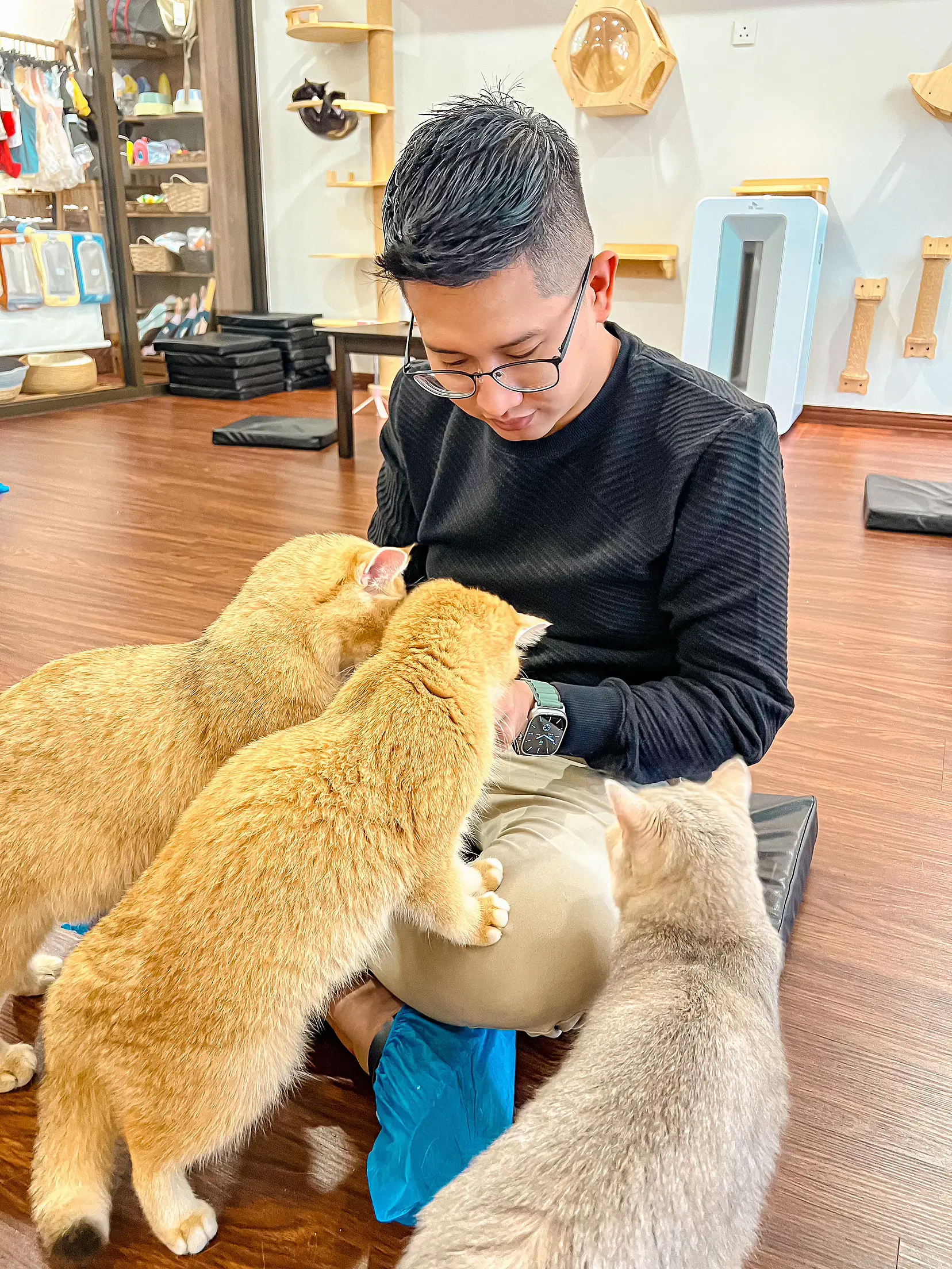 Must Visit Cat Cafe For Cat Lovers! | Cuffymeow🐱💛 | Gallery posted by ...