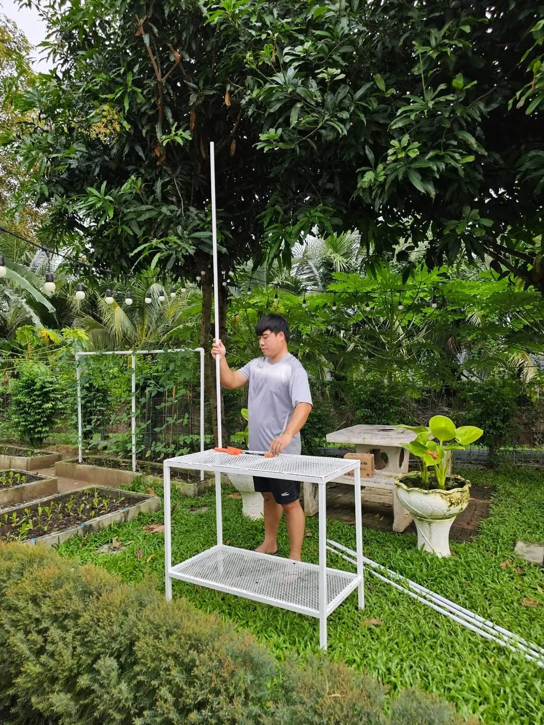 ก้ามปูท่อ Pvc - การค้นหาใน Lemon8