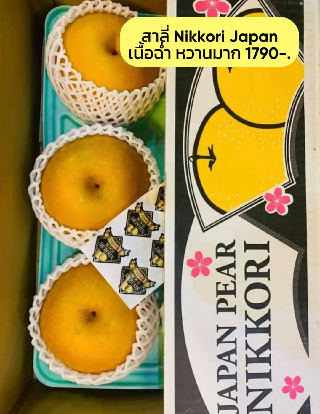 สาลี่ Nikkori Japanเนื้อฉ่ำ หวานมาก 1790-. | แกลเลอรีที่โพสต์โดย ...