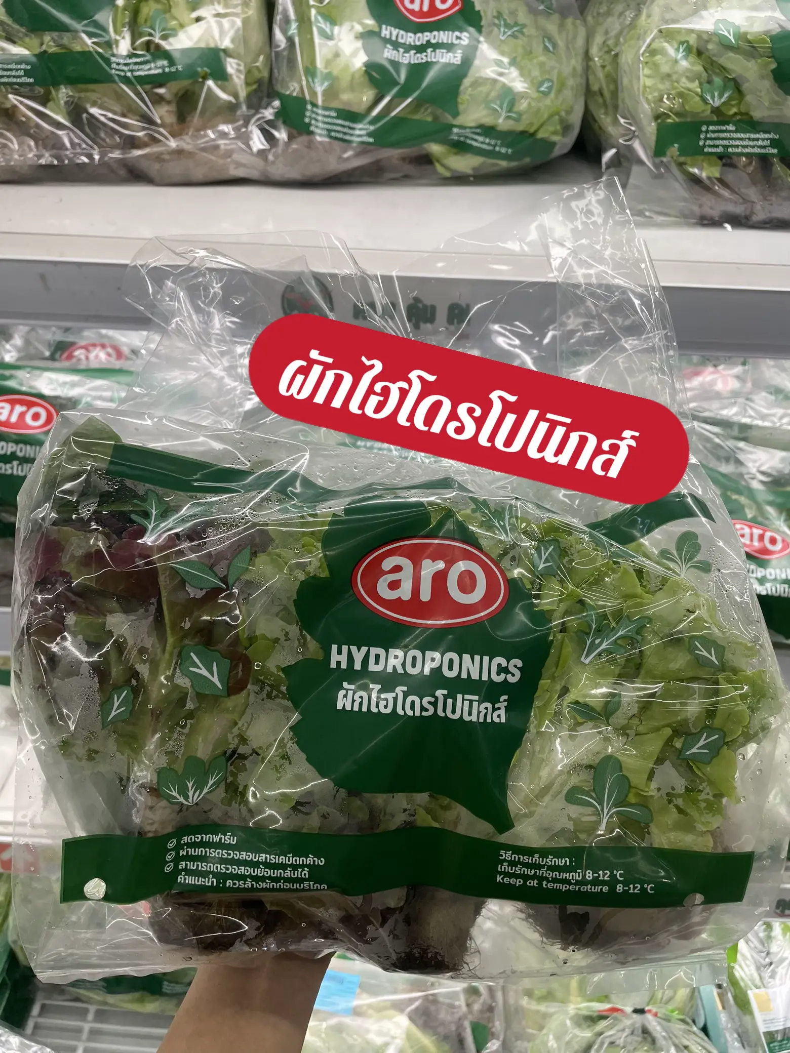 ตุนของฉบับคนลดน้ำหนัก | แกลเลอรีที่โพสต์โดย Bubee | Lemon8