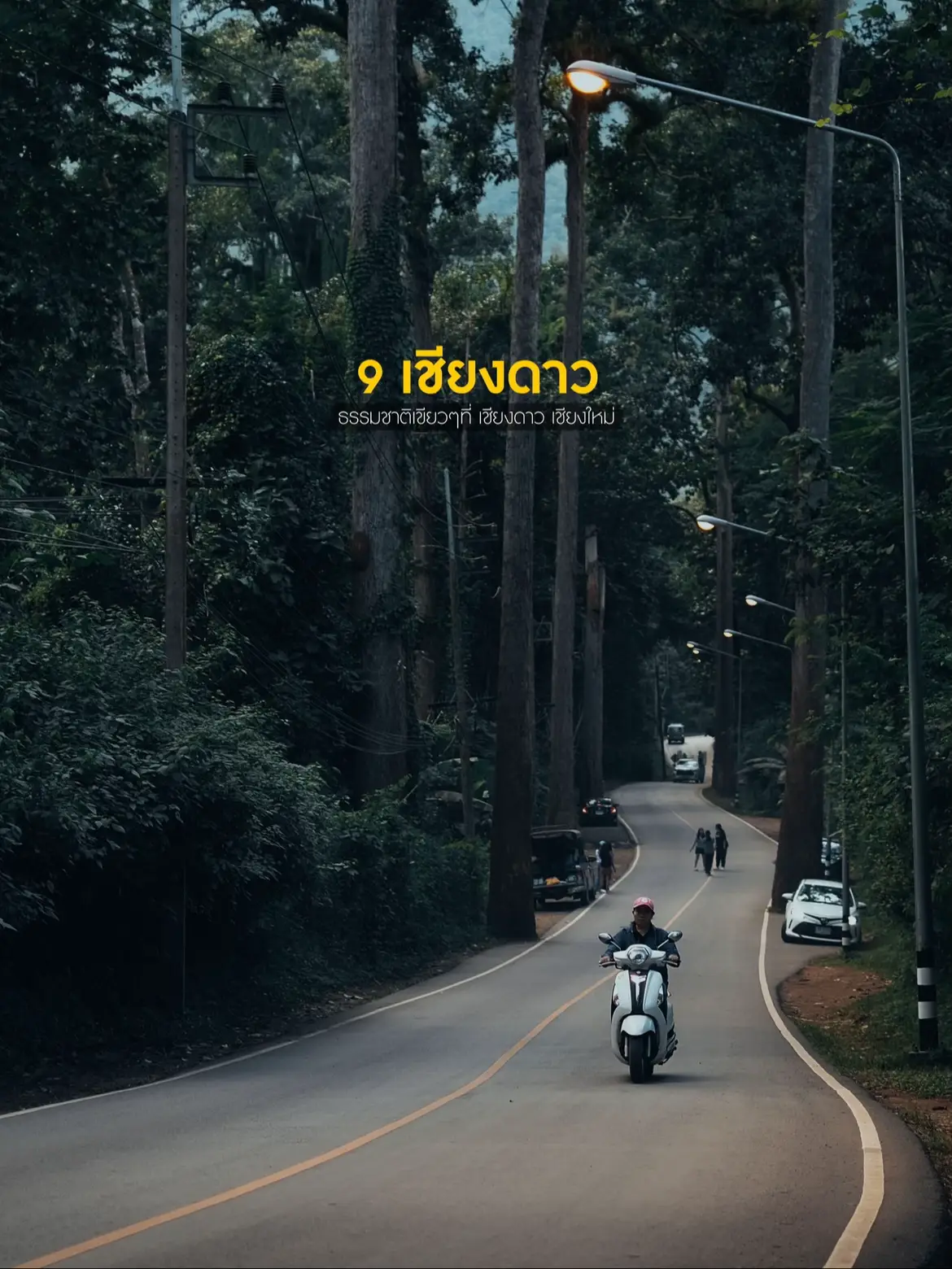 แจกพิกัดเที่ยวเชียงใหม่ ฉบับคนรักธรรมชาติ | วิดีโอที่เผยแพร่โดย Anusara | Lemon8