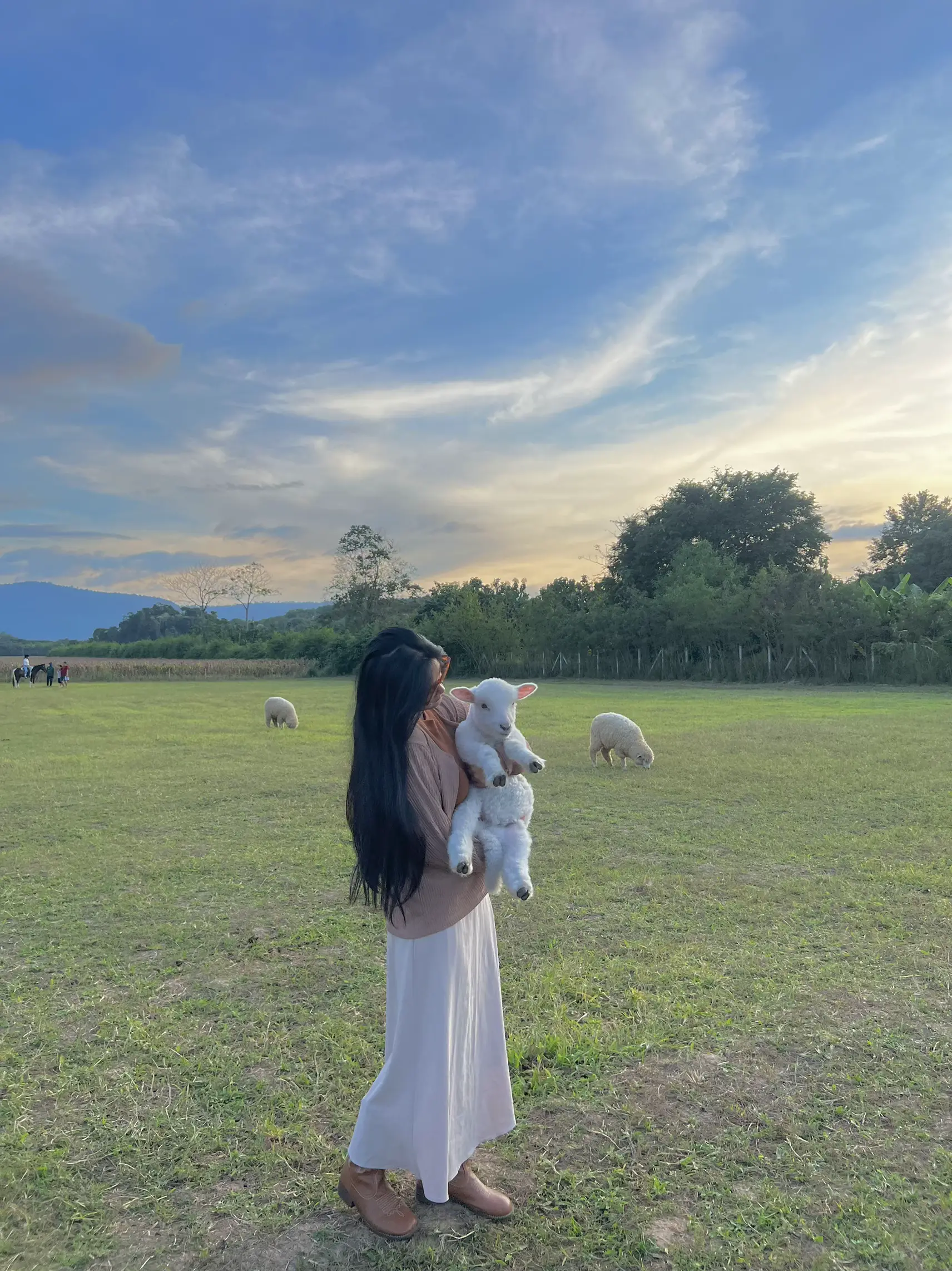 StardoiFarm Khaoyai | แกลเลอรีที่โพสต์โดย Ars Tom | Lemon8