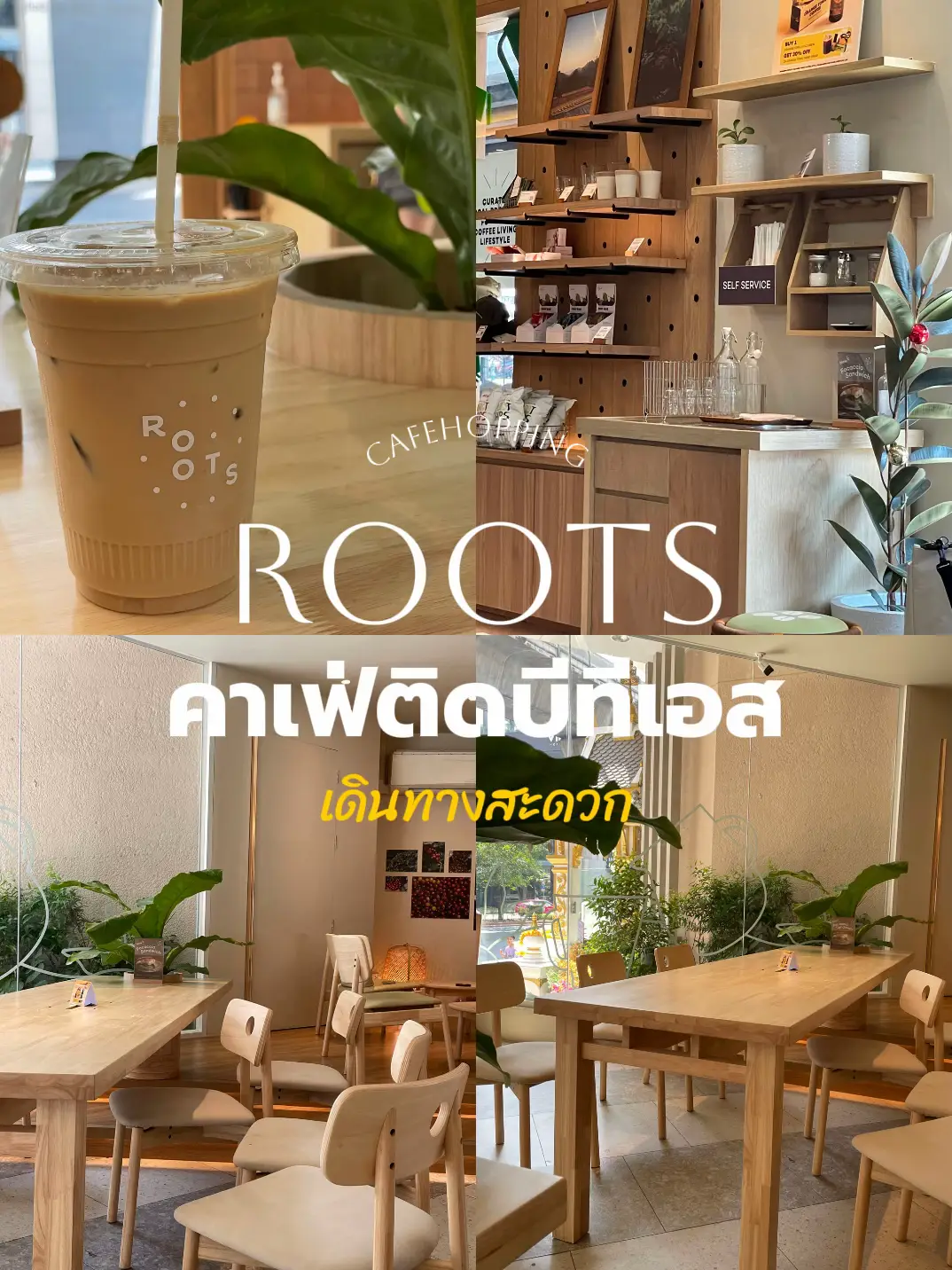 ฮอลลีวูดบ้านนา มนต์รักบางพุทรา - การค้นหาใน Lemon8