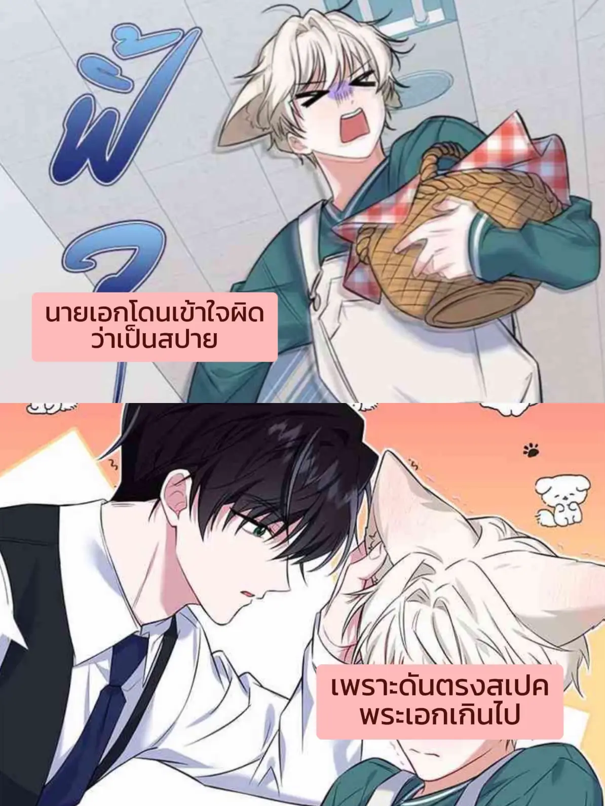 รีวิวมังฮวา ดื่มรักรสฟลินน์ BL | แกลเลอรีที่โพสต์โดย อาเดล | Lemon8