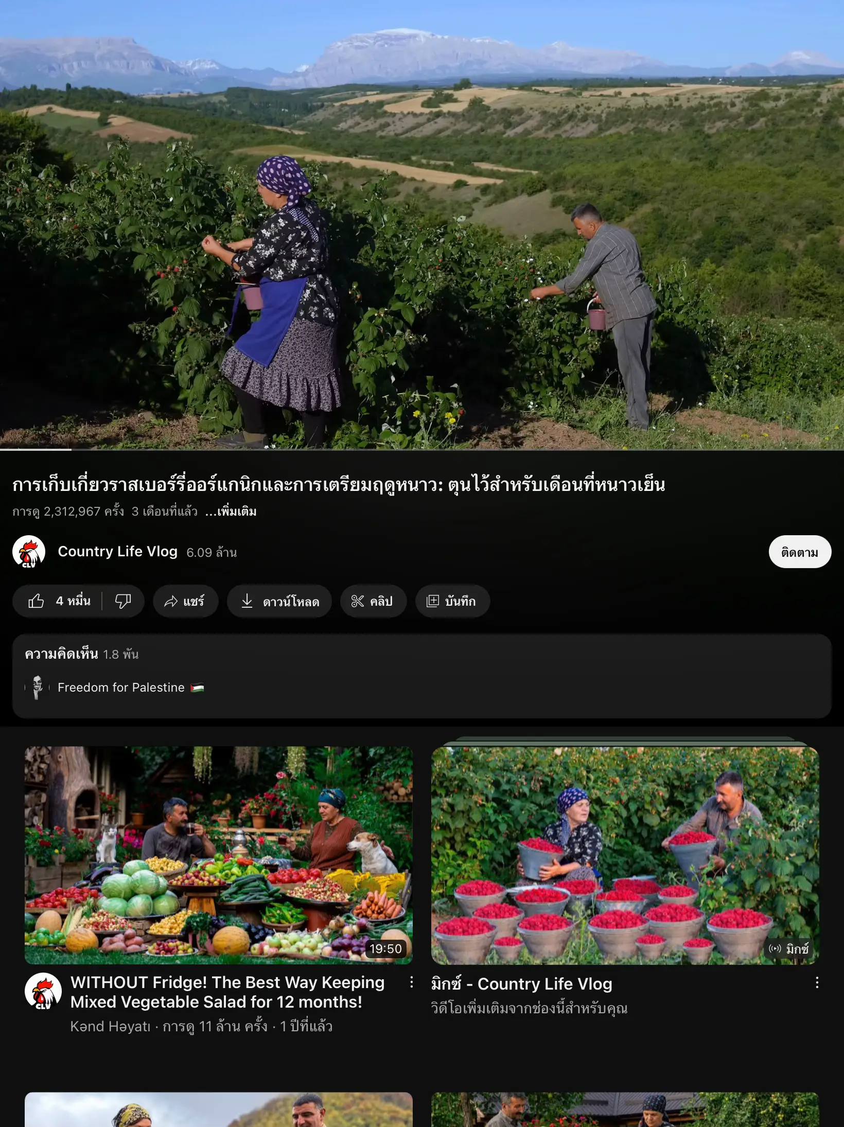 ช่องยูทูปวิถีชีวิตในชนบท🍒 | แกลเลอรีที่โพสต์โดย 𝐵𝑒𝑟𝑙𝑖𝑛 𝘑𝘪 | Lemon8