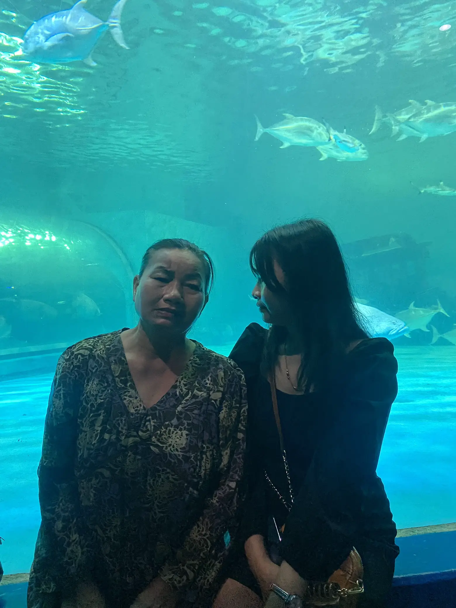 EP1 อควาเรี่ยมบางแสน ชลบุรี | แกลเลอรีที่โพสต์โดย Paveena | Lemon8