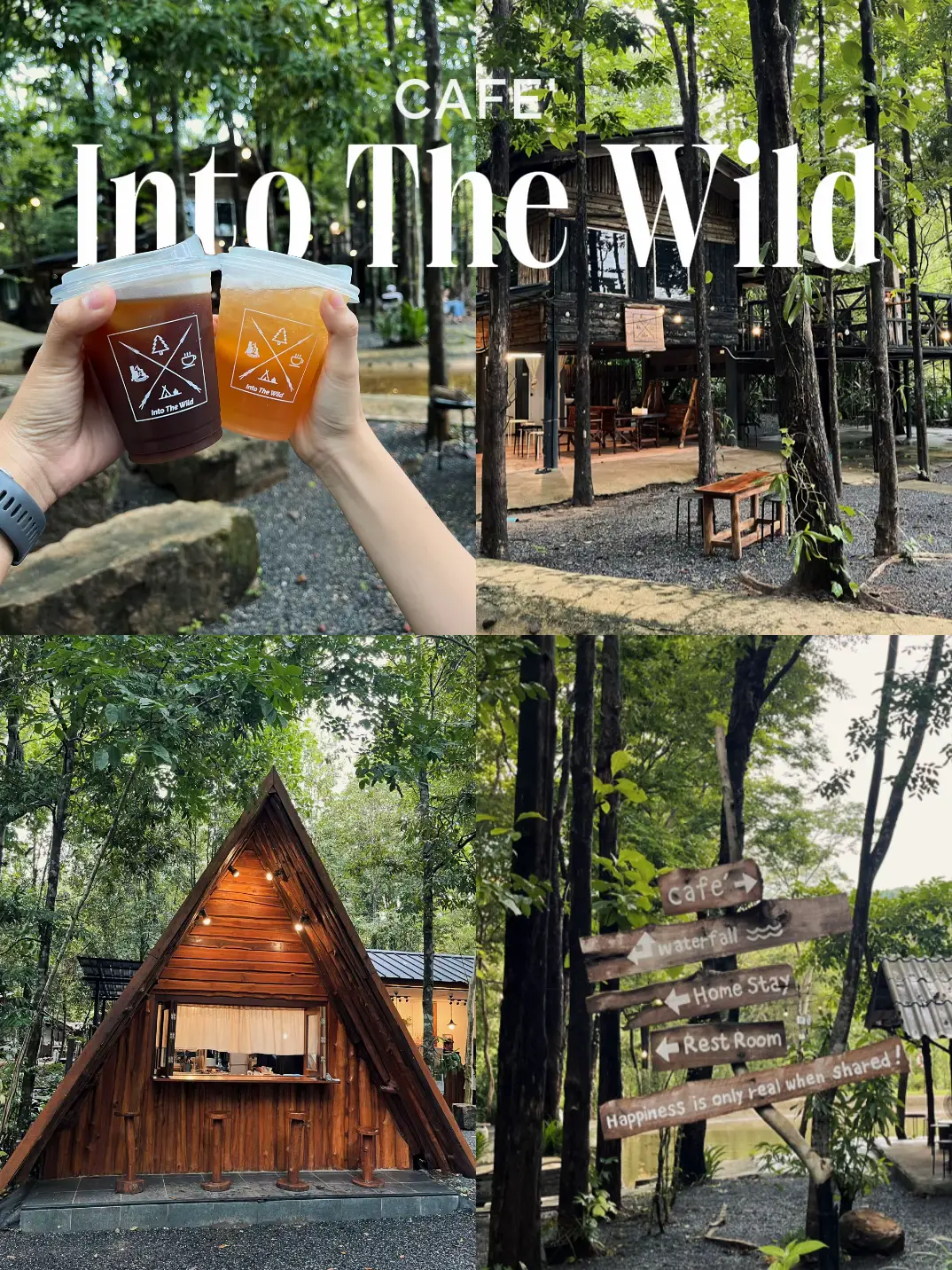 Into The Wild Cafe @ปราจีนบุรี คาเฟ่ลับๆ กลางธรรมชาติ | แกลเลอรีที่โพสต์โดย Prim Diary | Lemon8