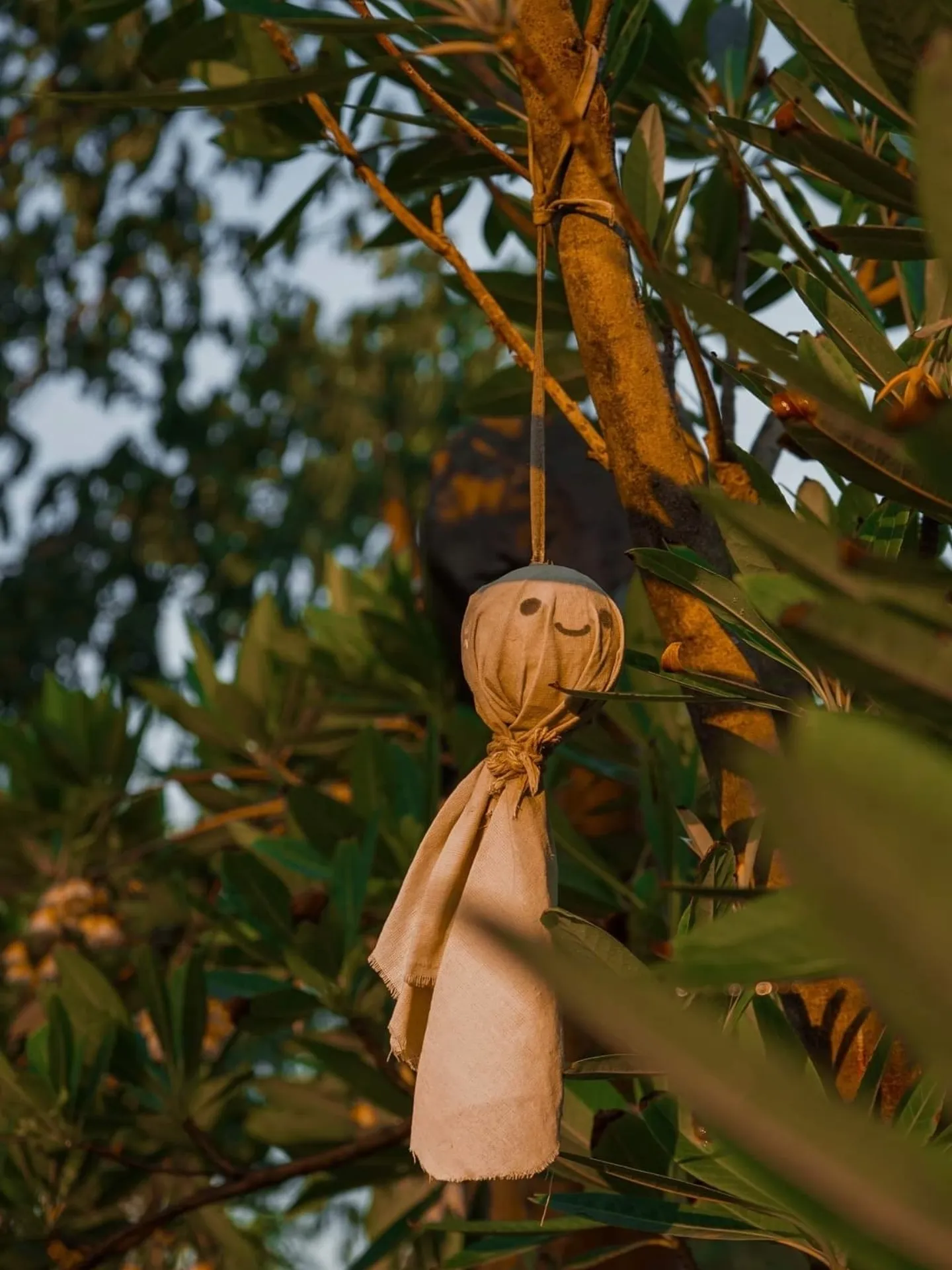 THREE ICONIC | แกลเลอรีที่โพสต์โดย Three Iconic | Lemon8